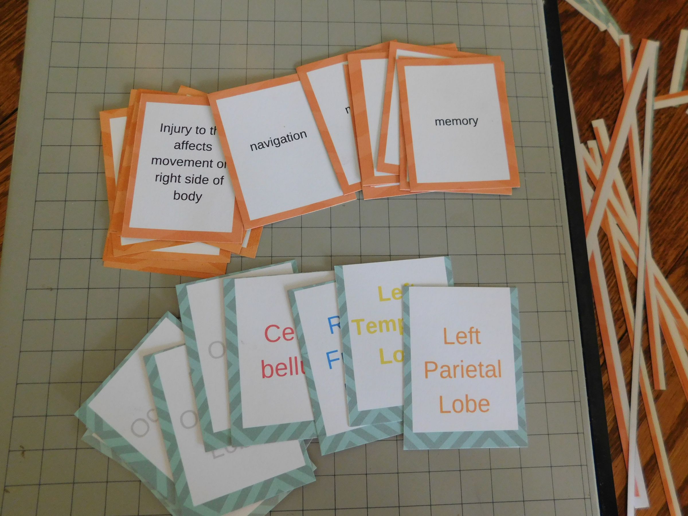 The Brain Game! : 9 Steps (with Pictures) - Instructables