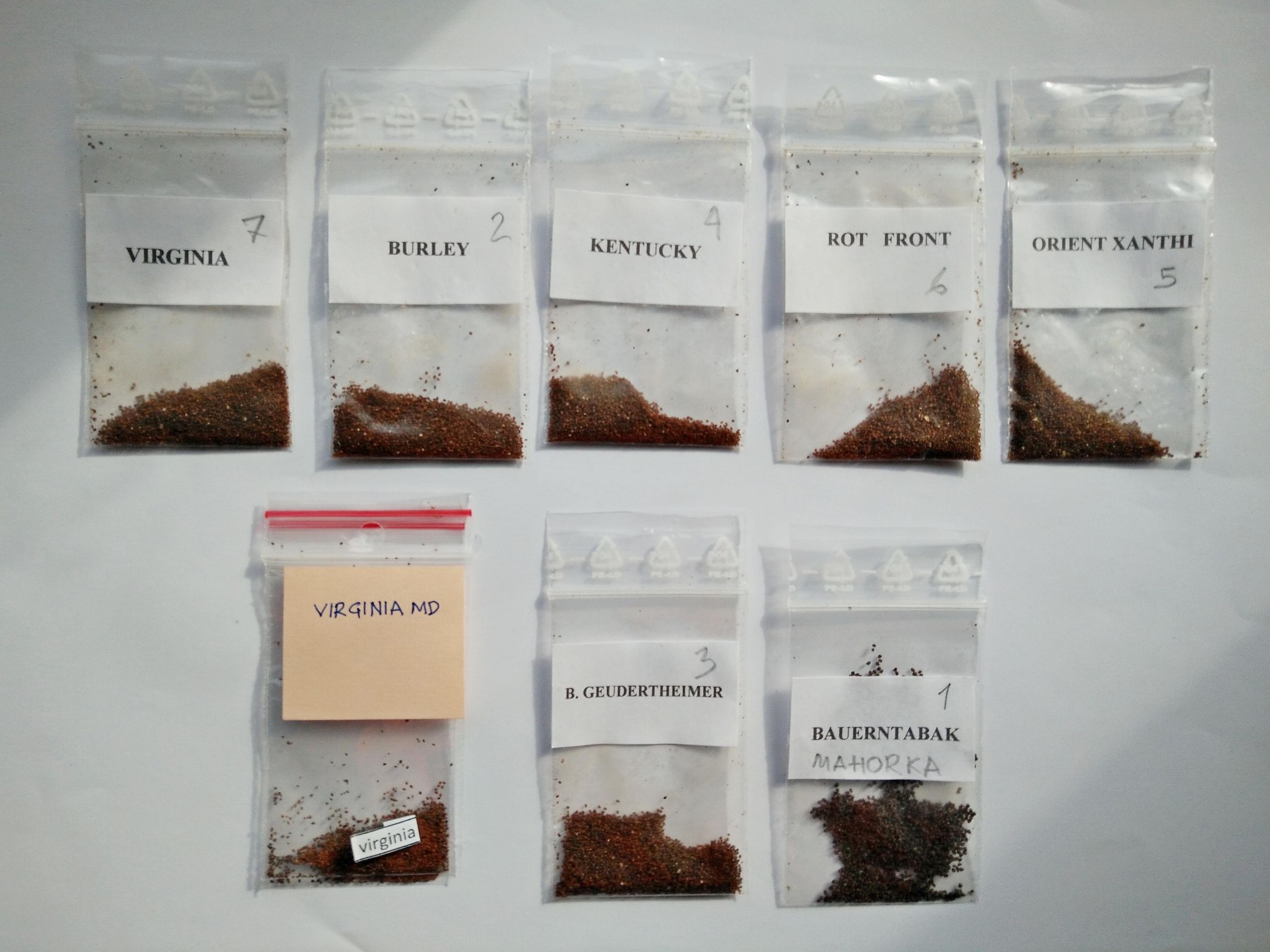 🌼 Dispenser for Sowing Tiny Seeds 🌼 : 15 Steps (with Pictures ...