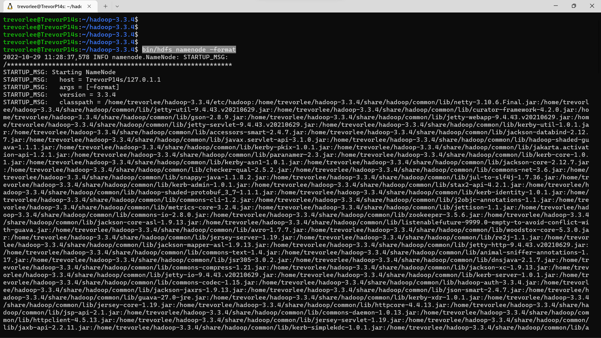 Install Single Node HDFS to Linix System Like Windows' WSL, for Remote ...