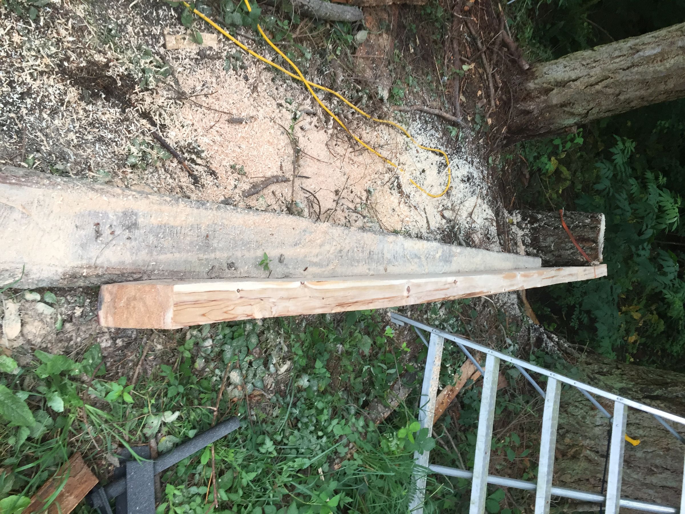 Treehouse Build : 10 Steps (with Pictures) - Instructables