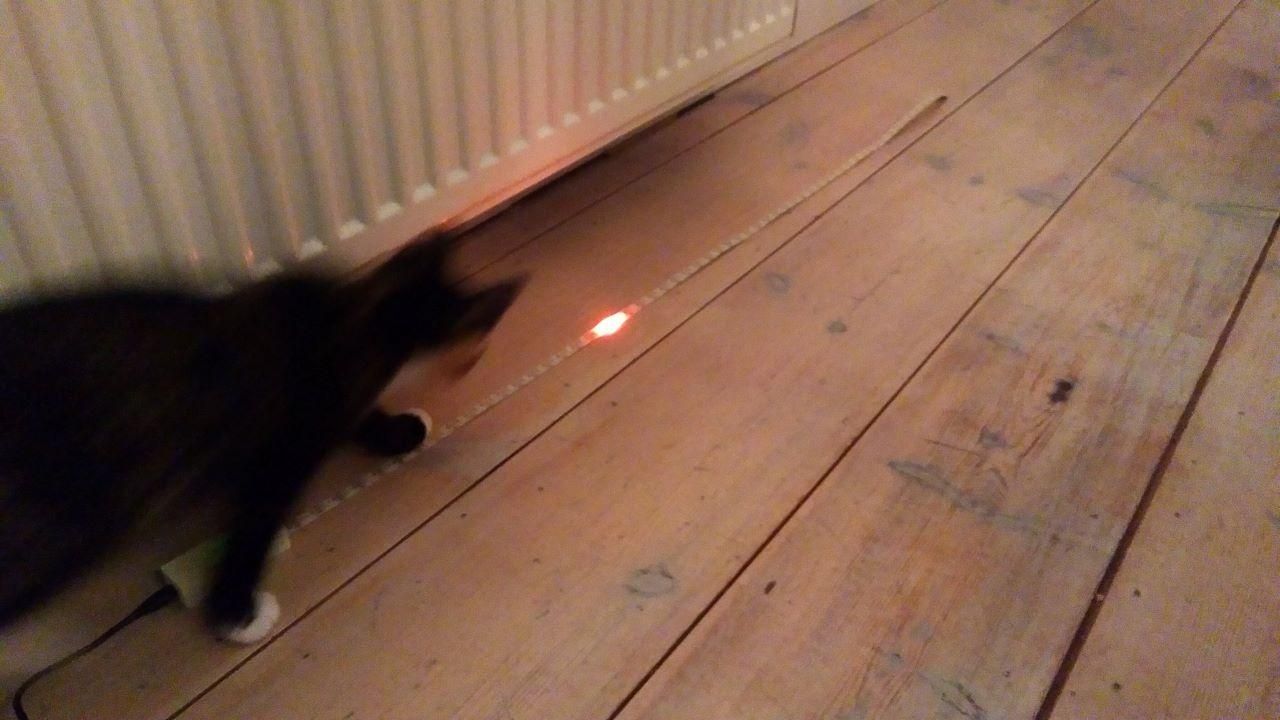 Arduino Nano LED Strip Cat Toy : 6 Steps - Instructables