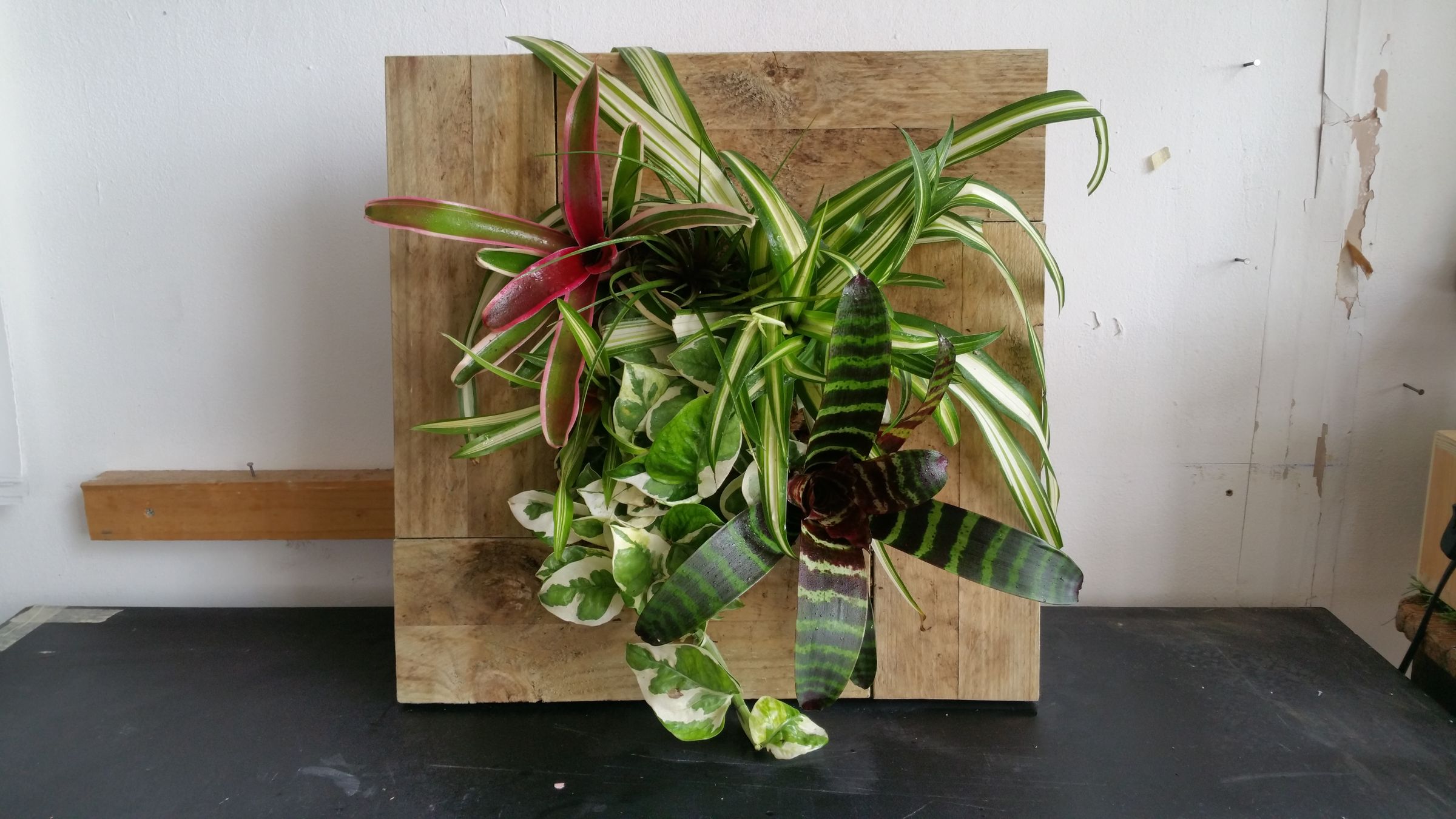 Upcycled Picture Frame Planter : 7 Steps (with Pictures) - Instructables
