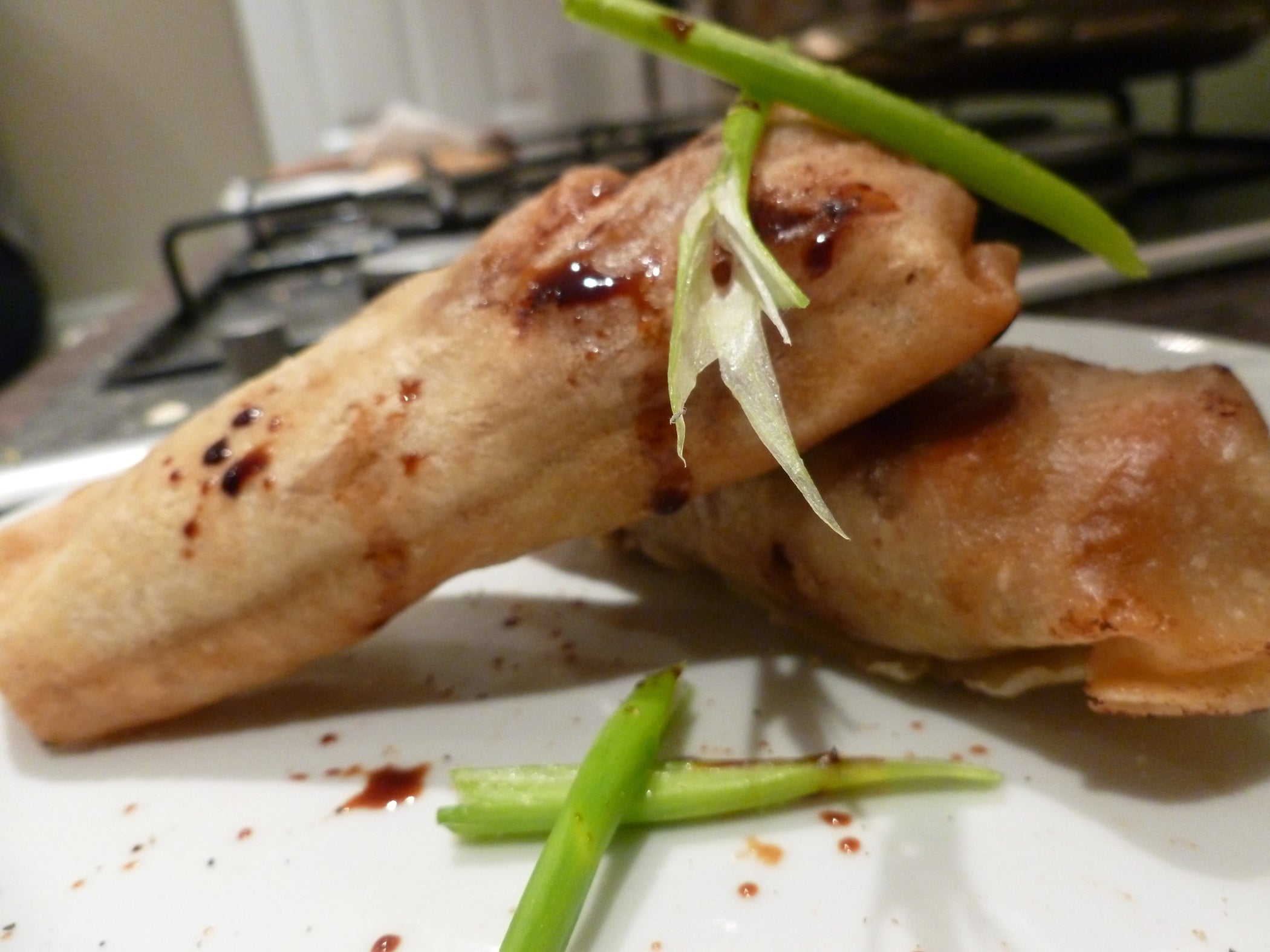 Chicken and Vegetable Spring Rolls (with Pictures) - Instructables