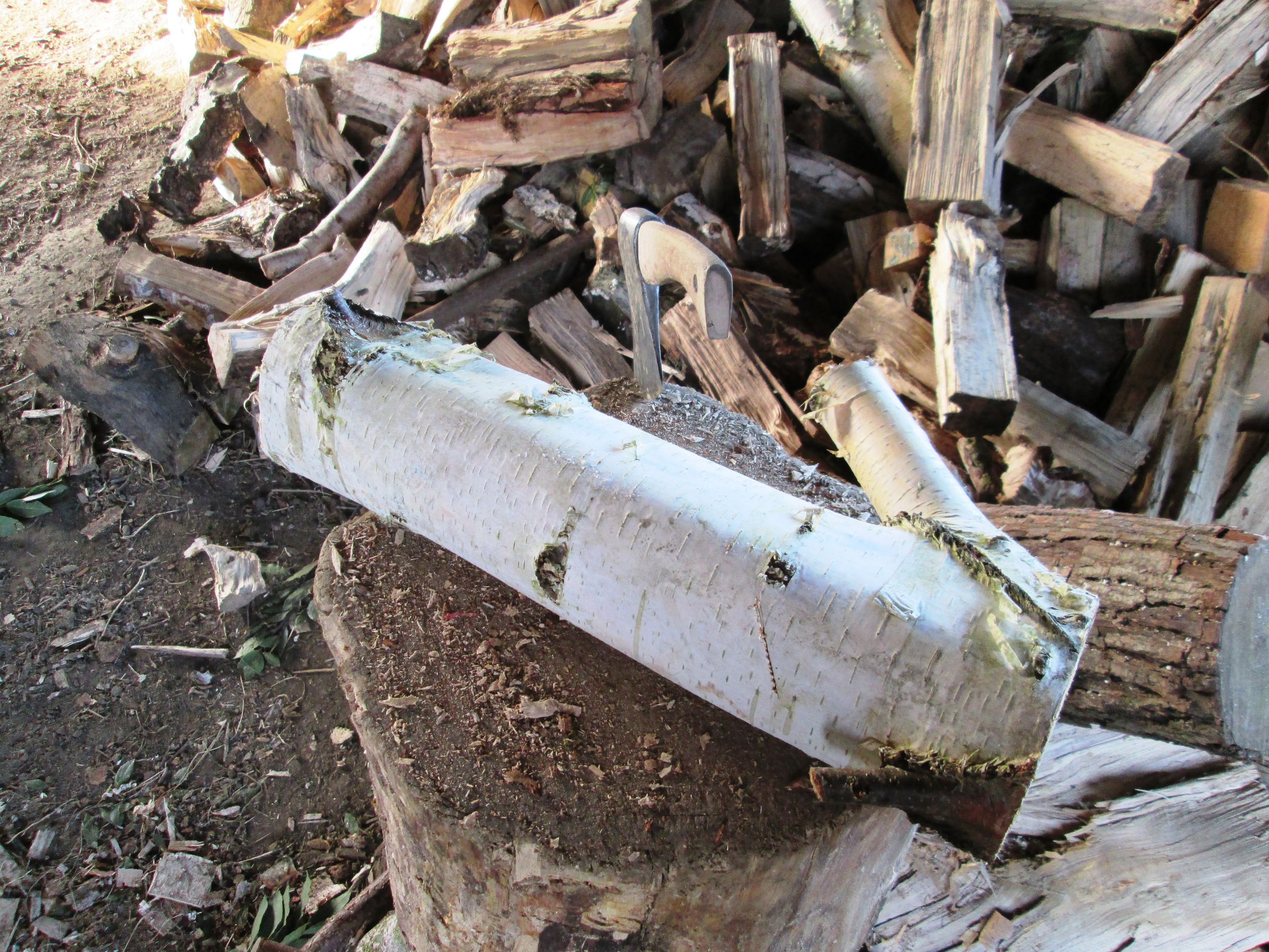 Handheld Tree Cannon - Nerf Style : 6 Steps (with Pictures) - Instructables