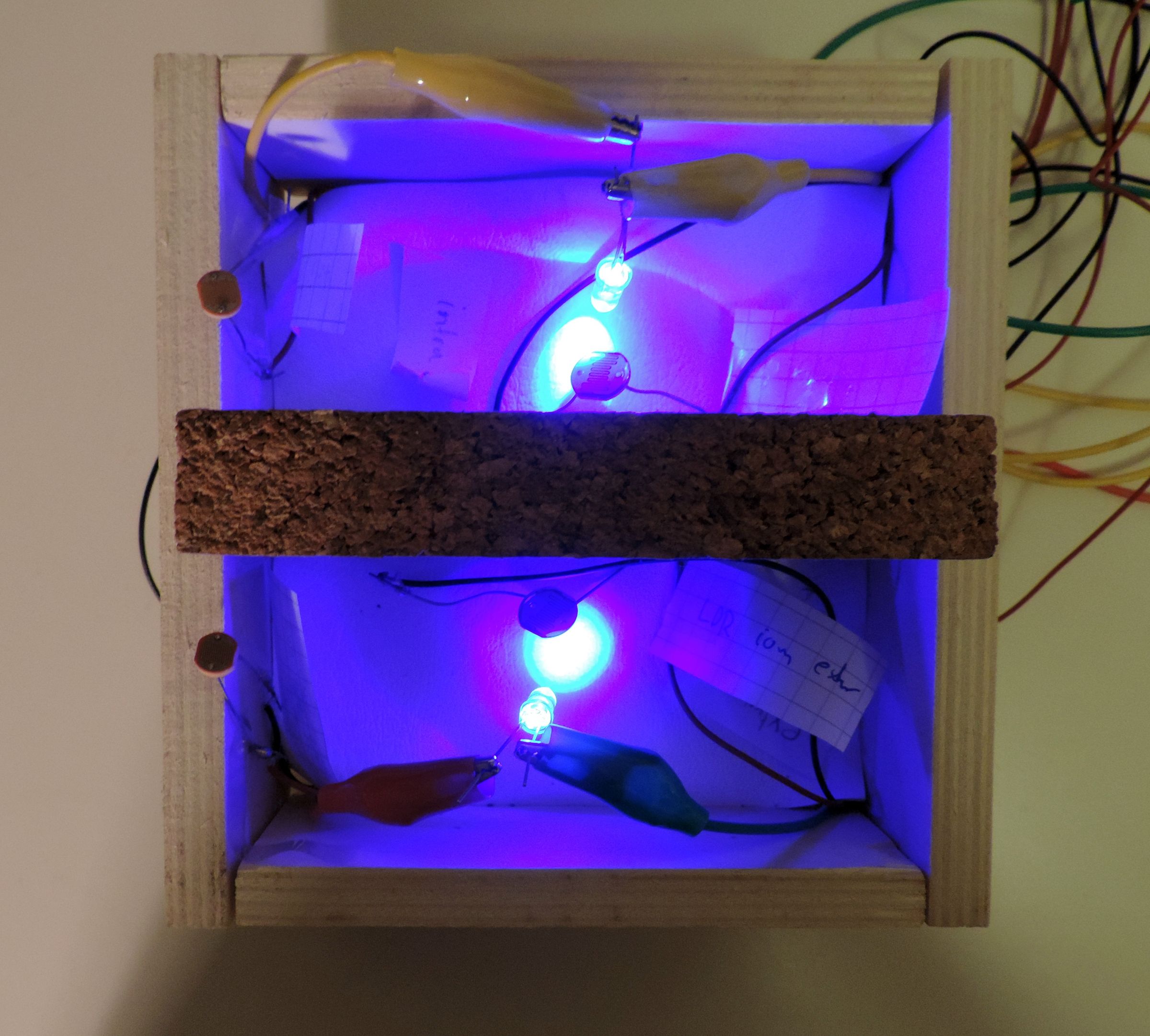 Play With Glowing Neurons? a Novel Framework for Interactive Neuron ...