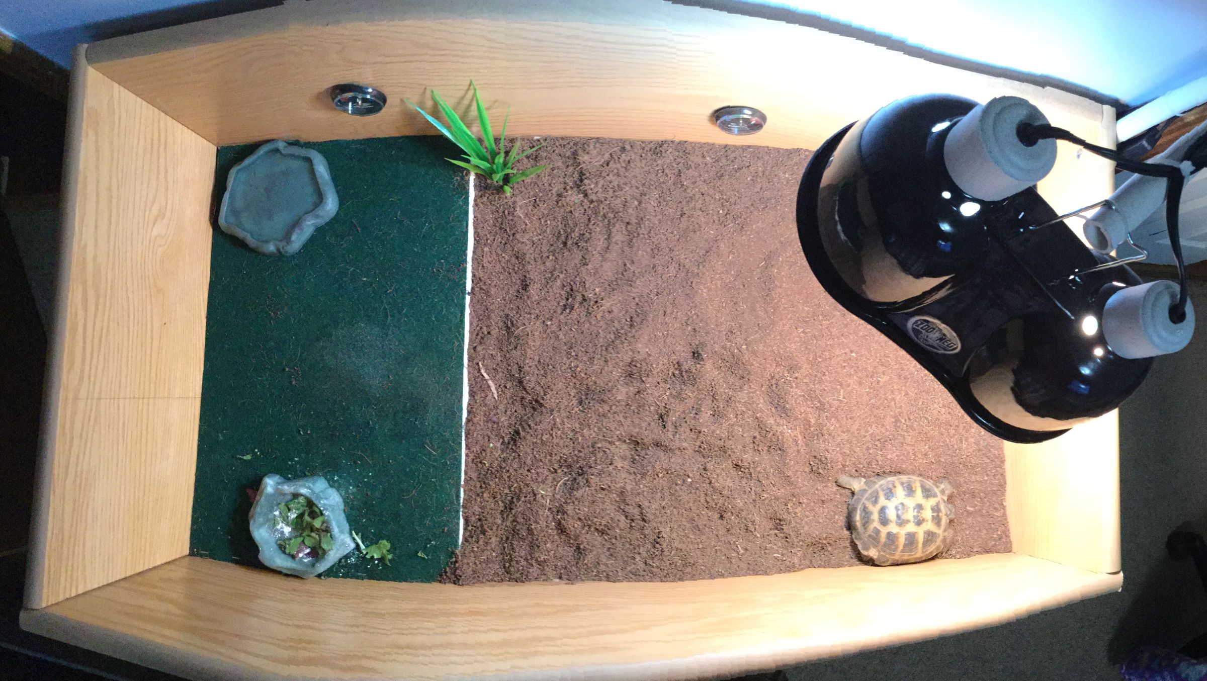 Tortoise Table : 3 Steps - Instructables