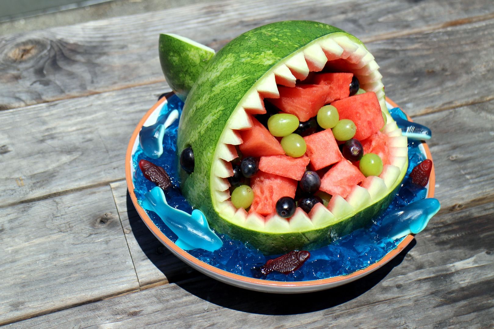 Watermelon Shark : 13 Steps (with Pictures) - Instructables
