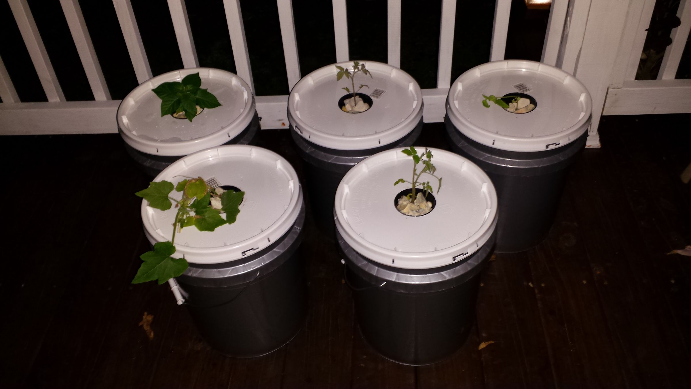 Pumpless (off Grid) Hydroponics With 5 Gallon Buckets - Instructables