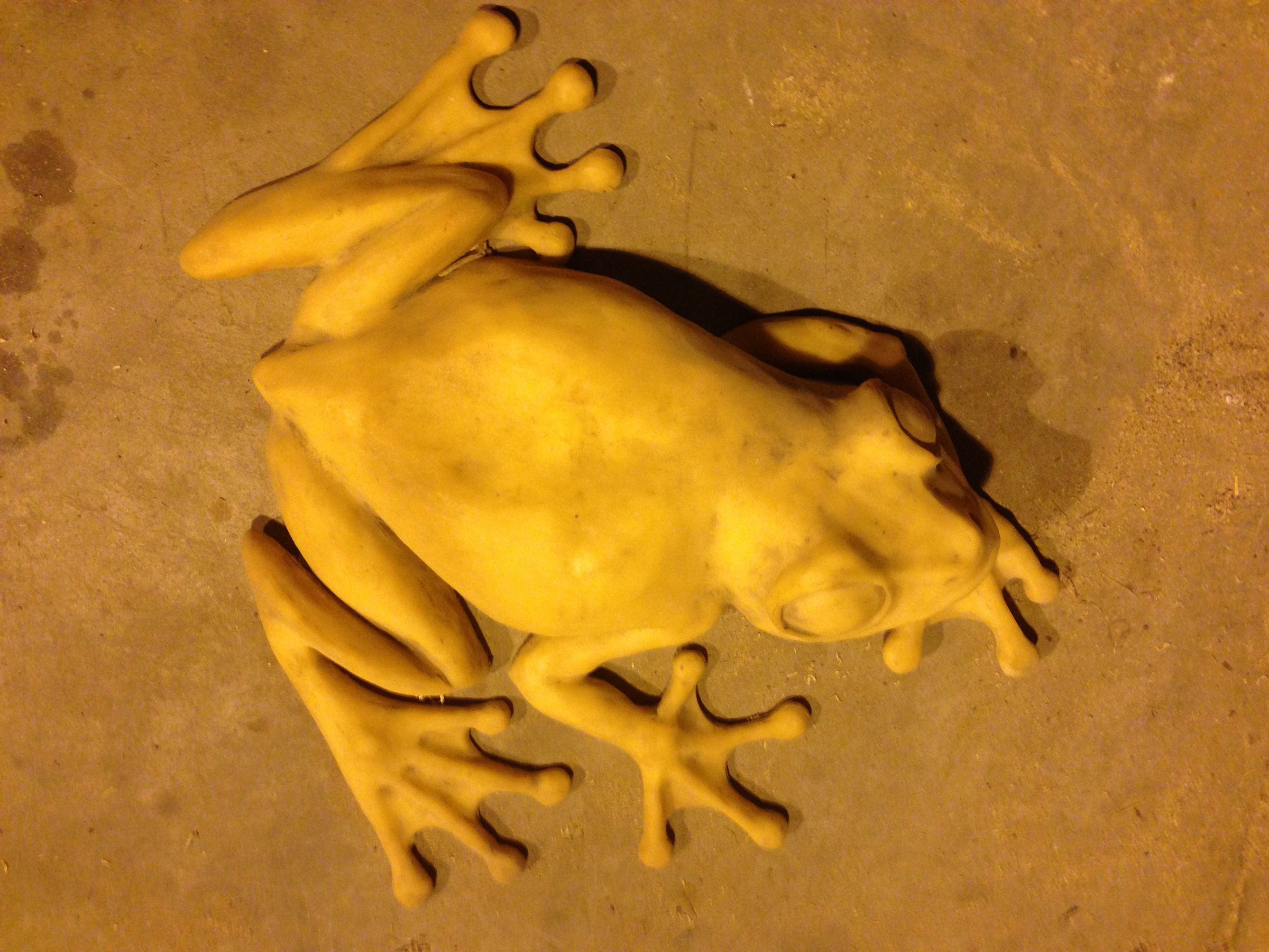Cast Concrete Lizard and Frog - Instructables