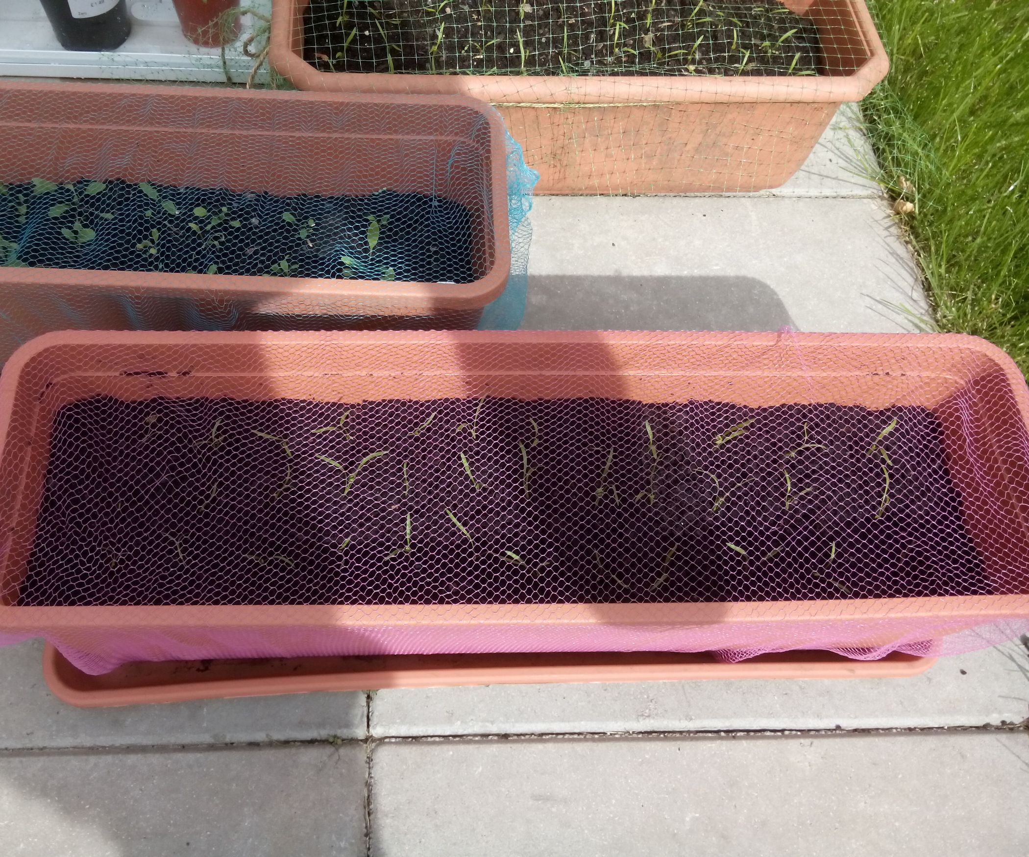 Make a Seedling Net From a Body Pouf : 7 Steps - Instructables