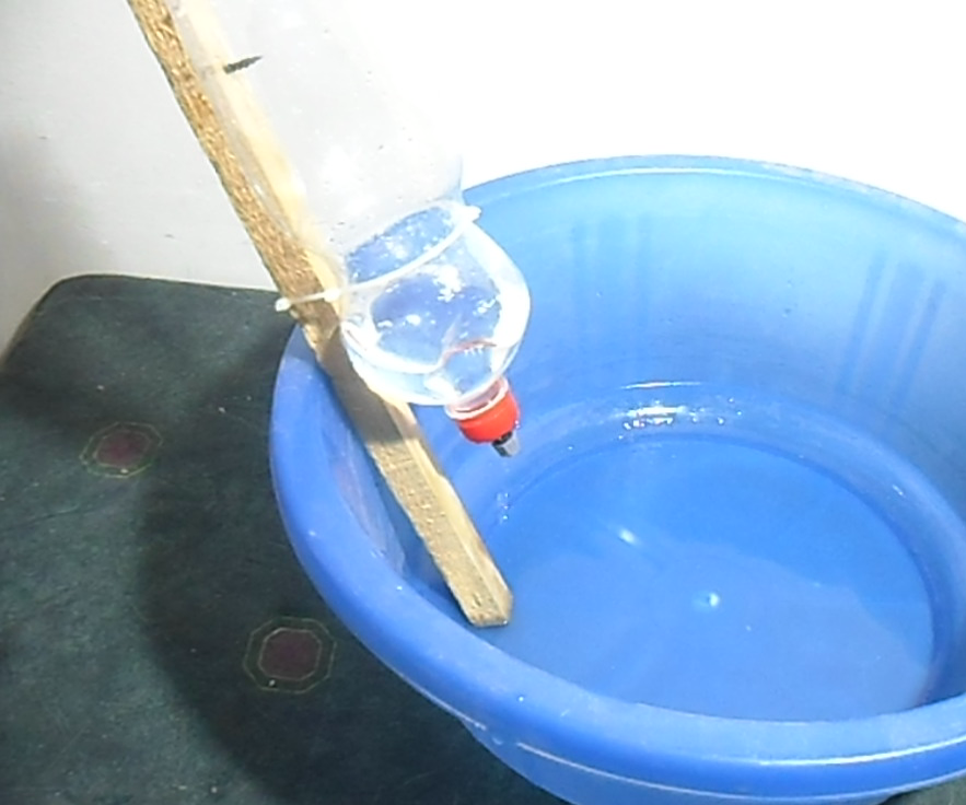 Drip Irrigation Bottle for Potted Plants : 4 Steps - Instructables