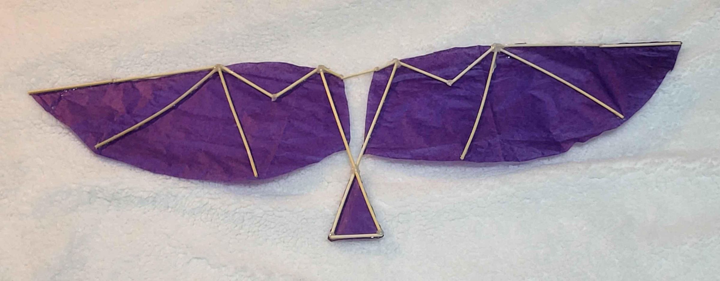 Bird Wing Glider : 7 Steps (with Pictures) - Instructables