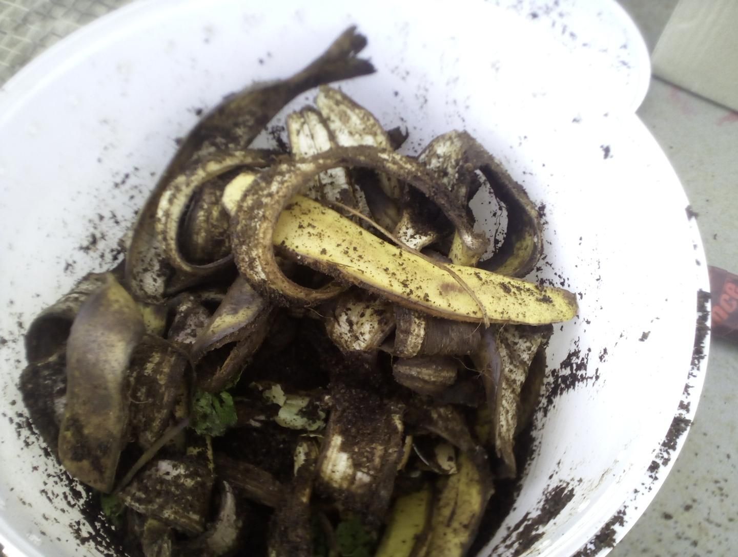 Mini Wormery (easy) : 6 Steps - Instructables