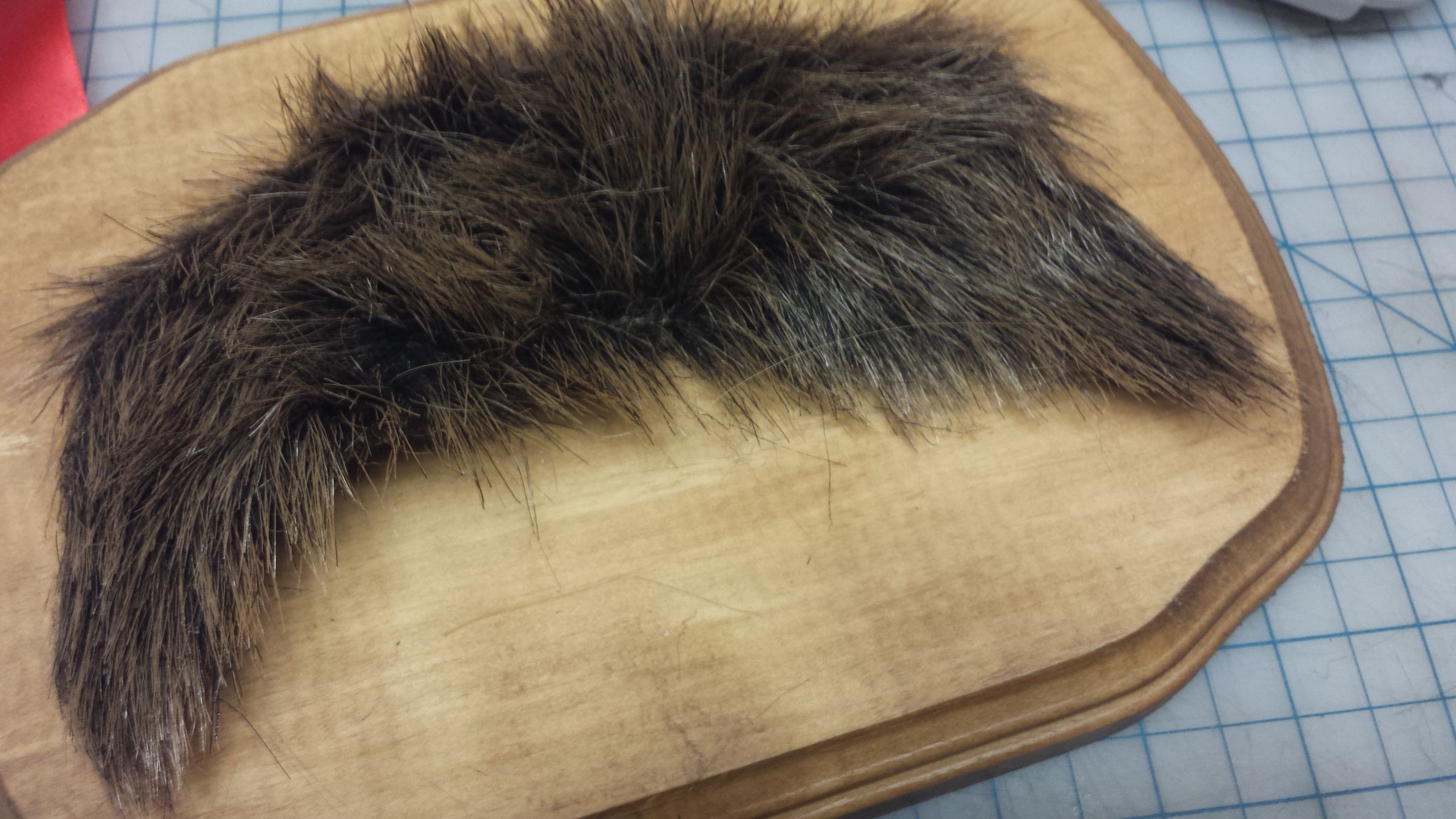 Taxidermy Moustache : 8 Steps (with Pictures) - Instructables