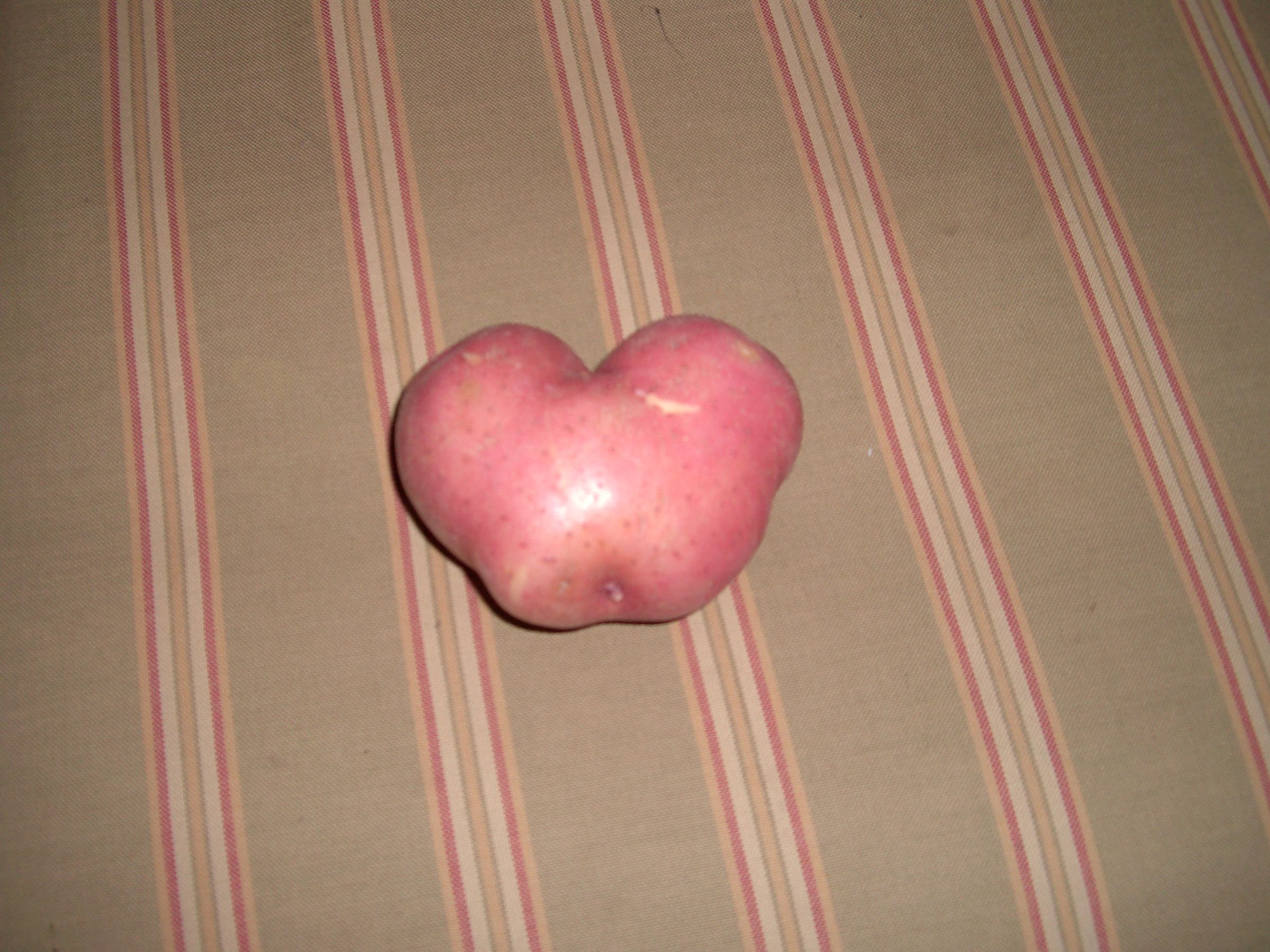 Potato Shapes! - Instructables