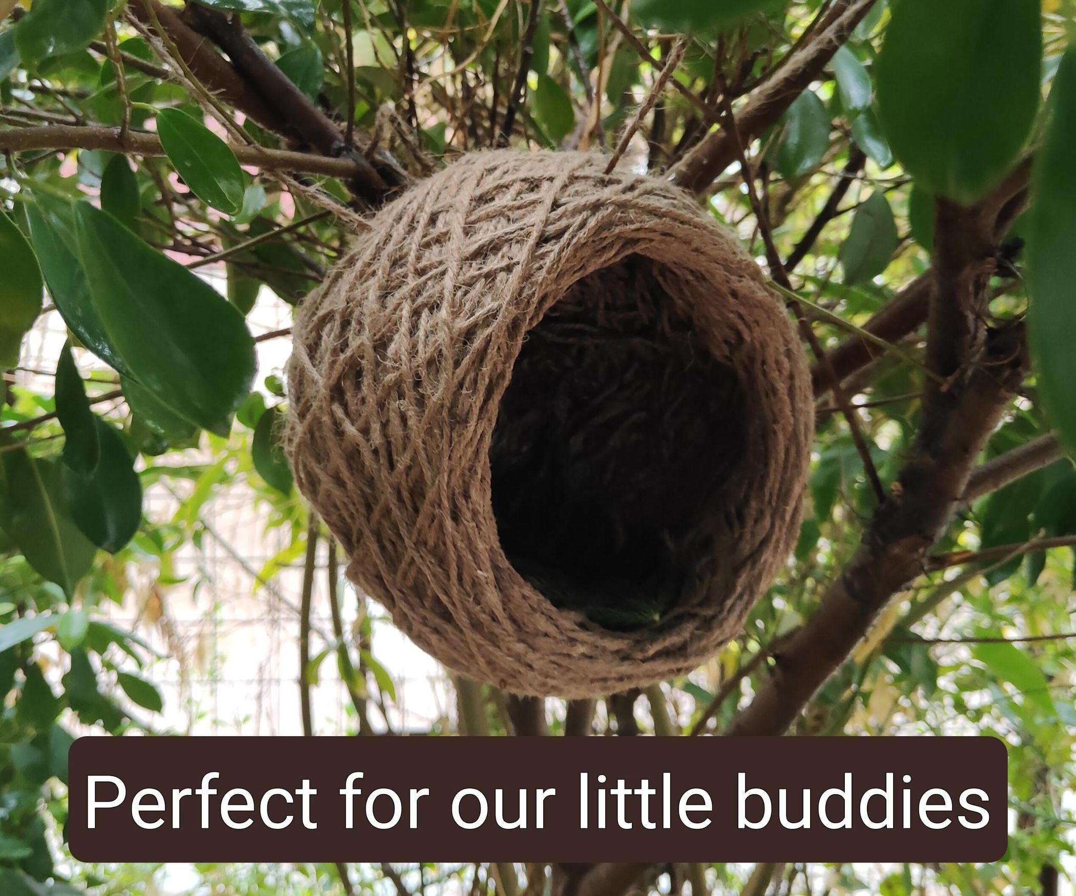 Bird's Nest From Jute Thread: Perfect Home for Our Little Buddies : 9 ...