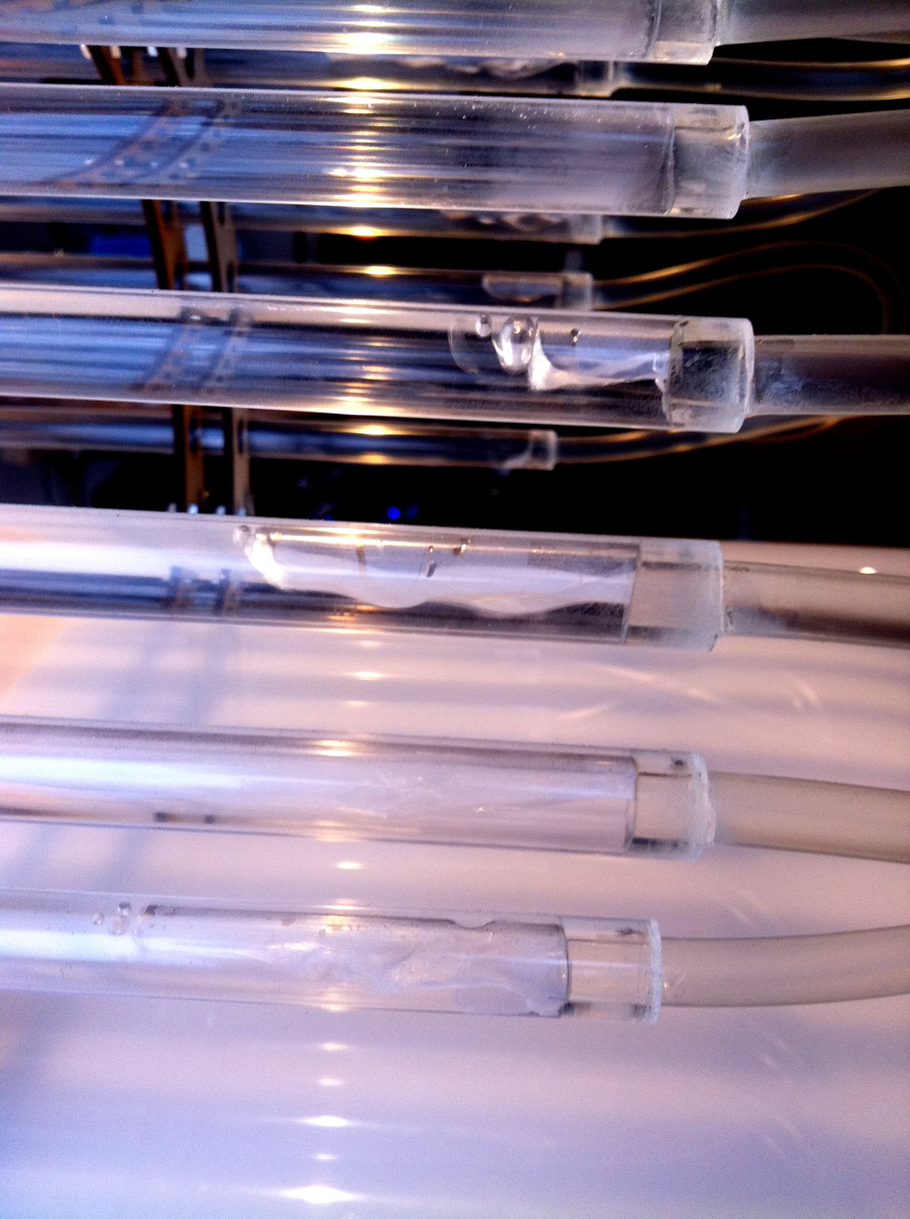The Algae Experiment: How to Build Your Own Algae Photo-bioreactor ...