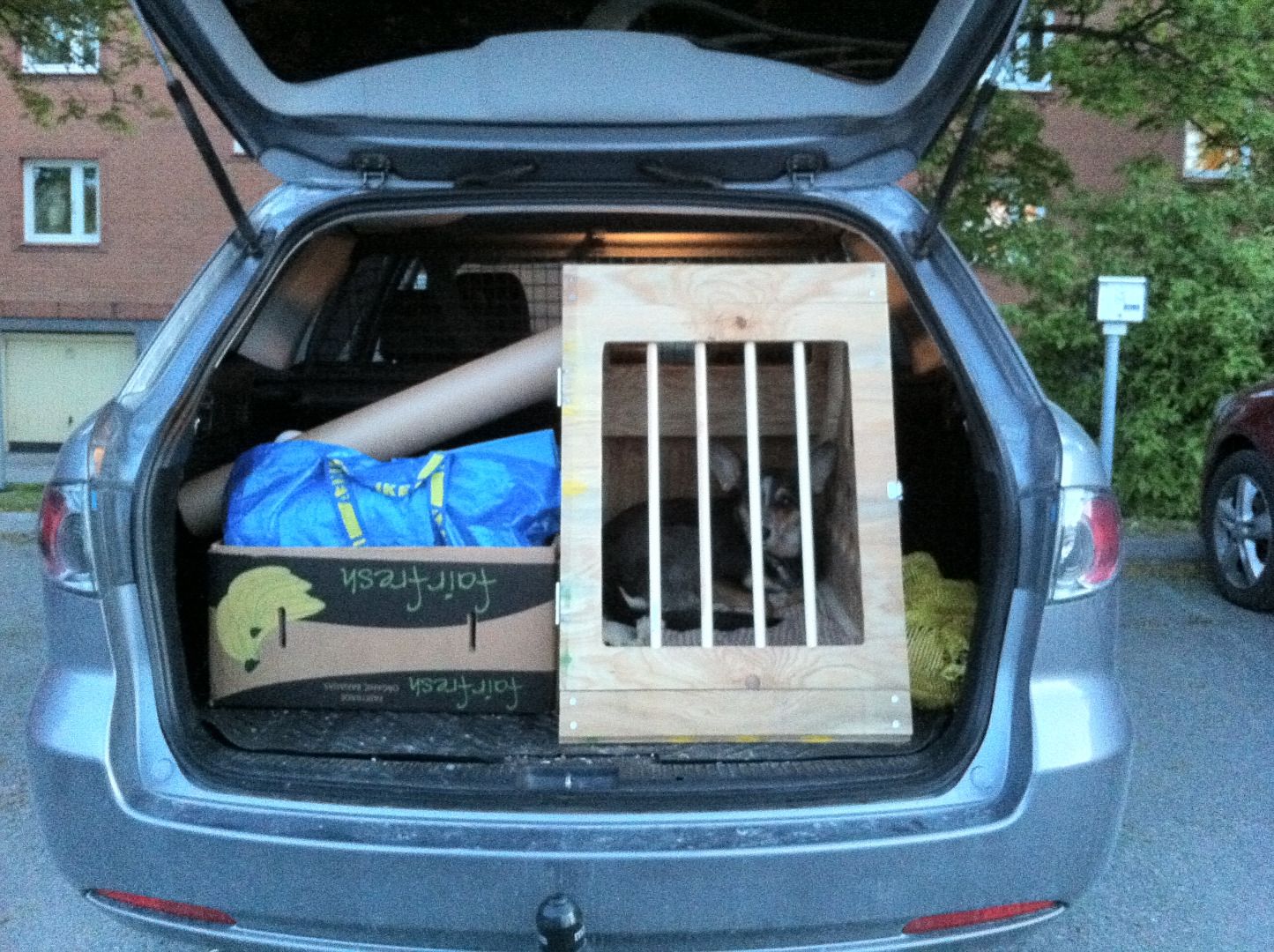 Wooden Car Crate for Dogs : 5 Steps (with Pictures) - Instructables