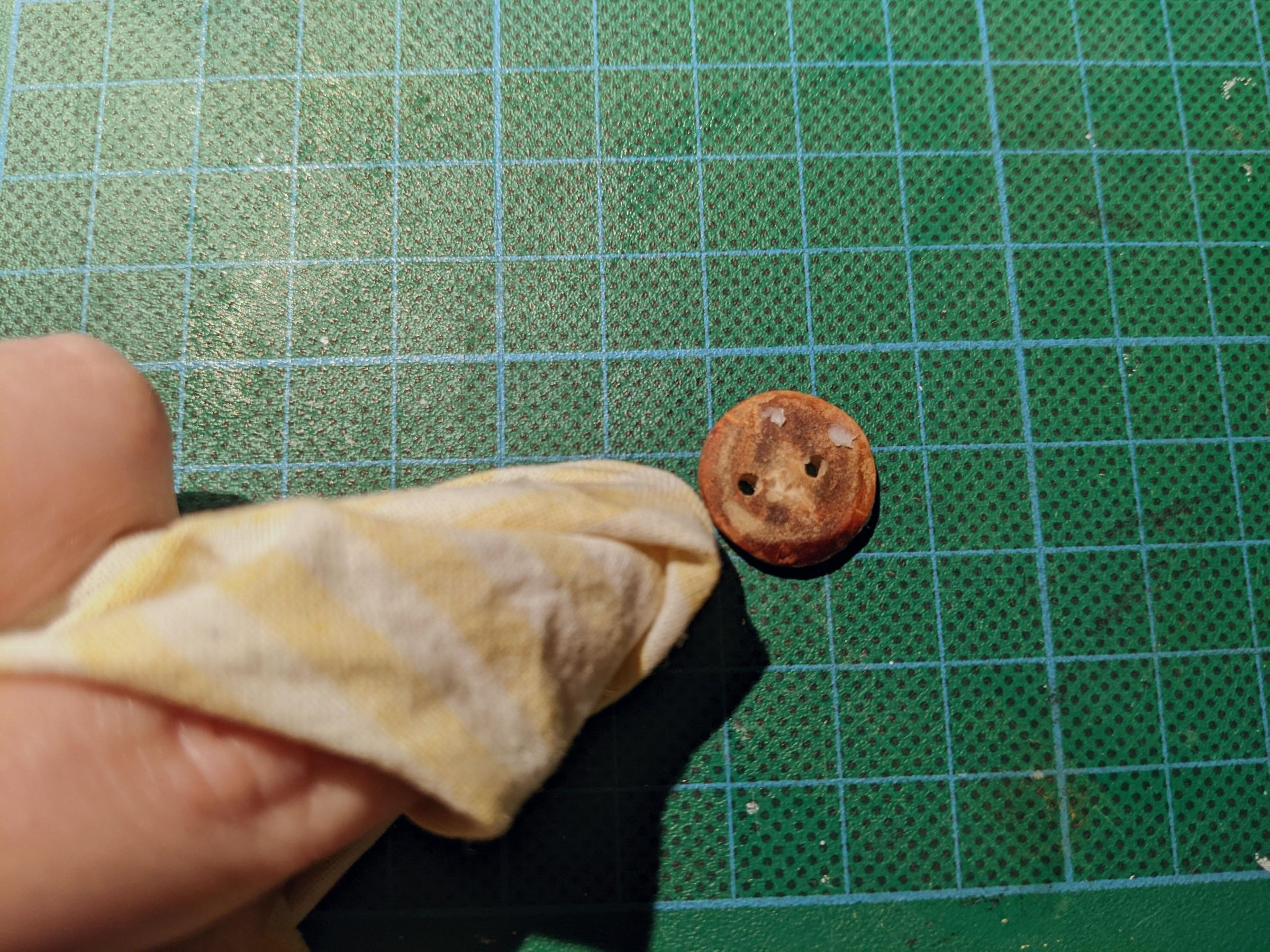 Buttons From Avocado Pits : 8 Steps (with Pictures) - Instructables