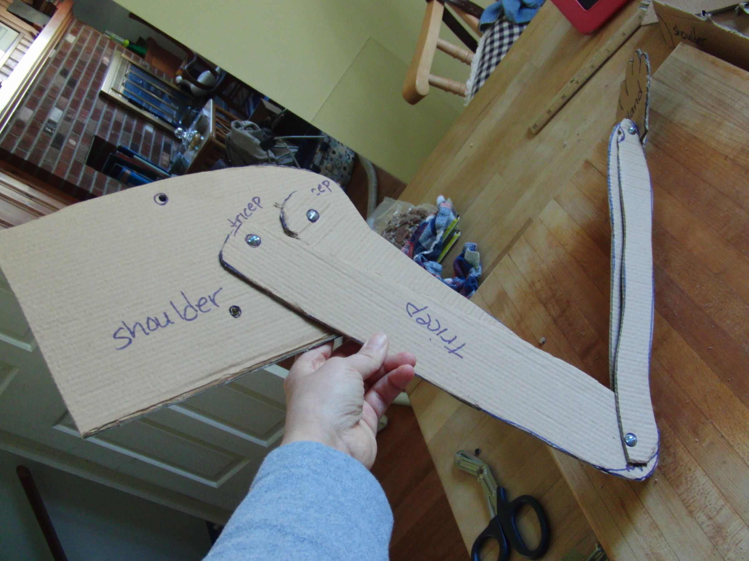 Human Arm Model : 13 Steps (with Pictures) - Instructables