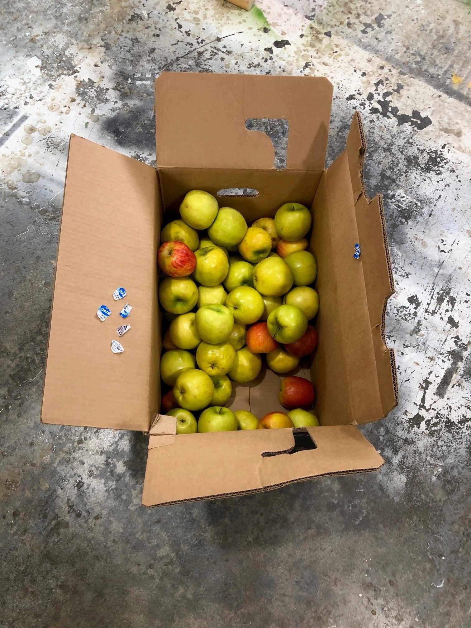 DIY Cider Press - Clean and Simple : 9 Steps (with Pictures ...