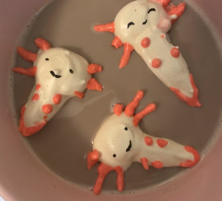 Hot Chocolate Floaties : 8 Steps - Instructables