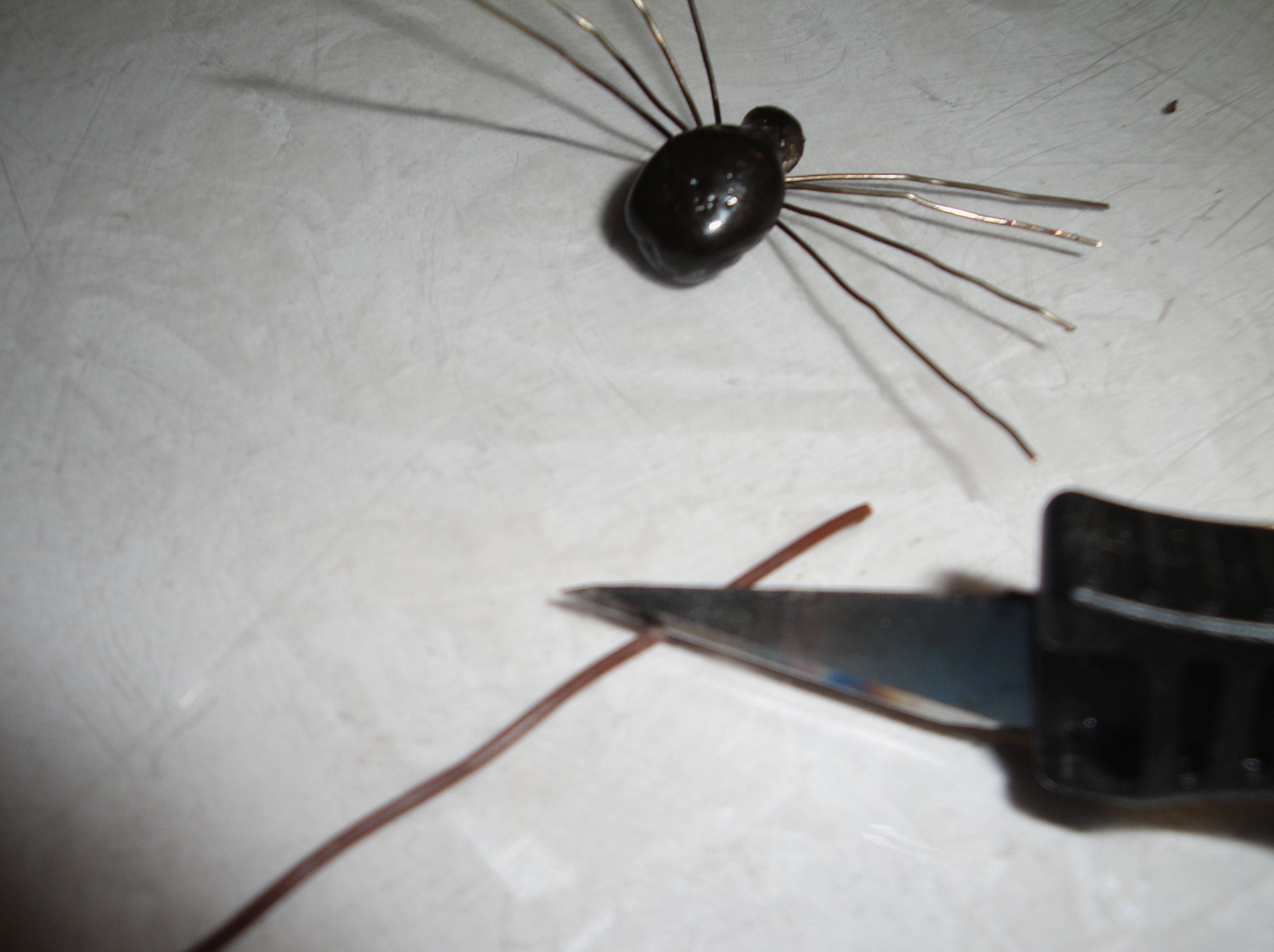 Realistic Spider (Life-Size Prop) : 7 Steps (with Pictures) - Instructables