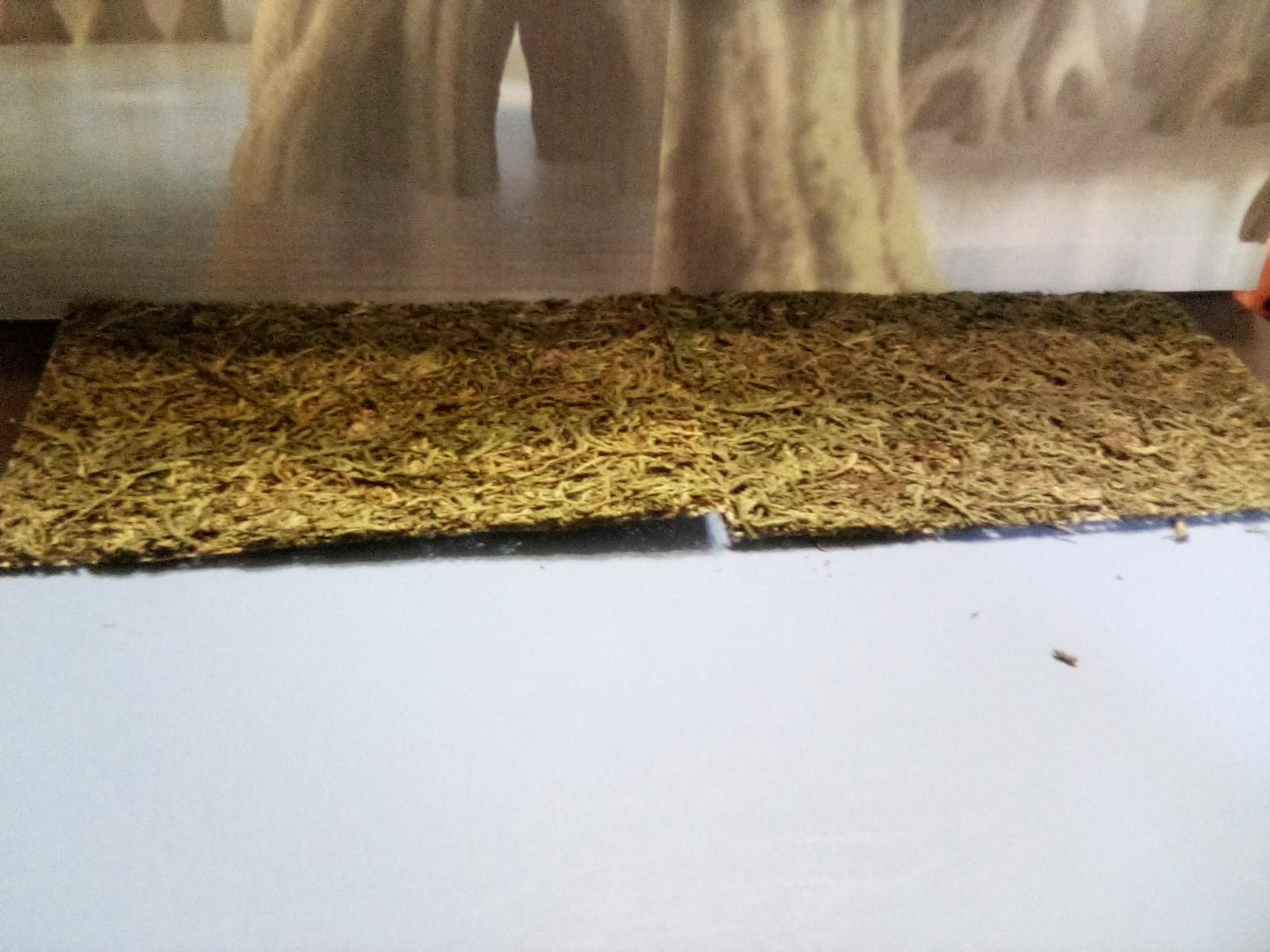 Riverbank Diorama : 6 Steps - Instructables