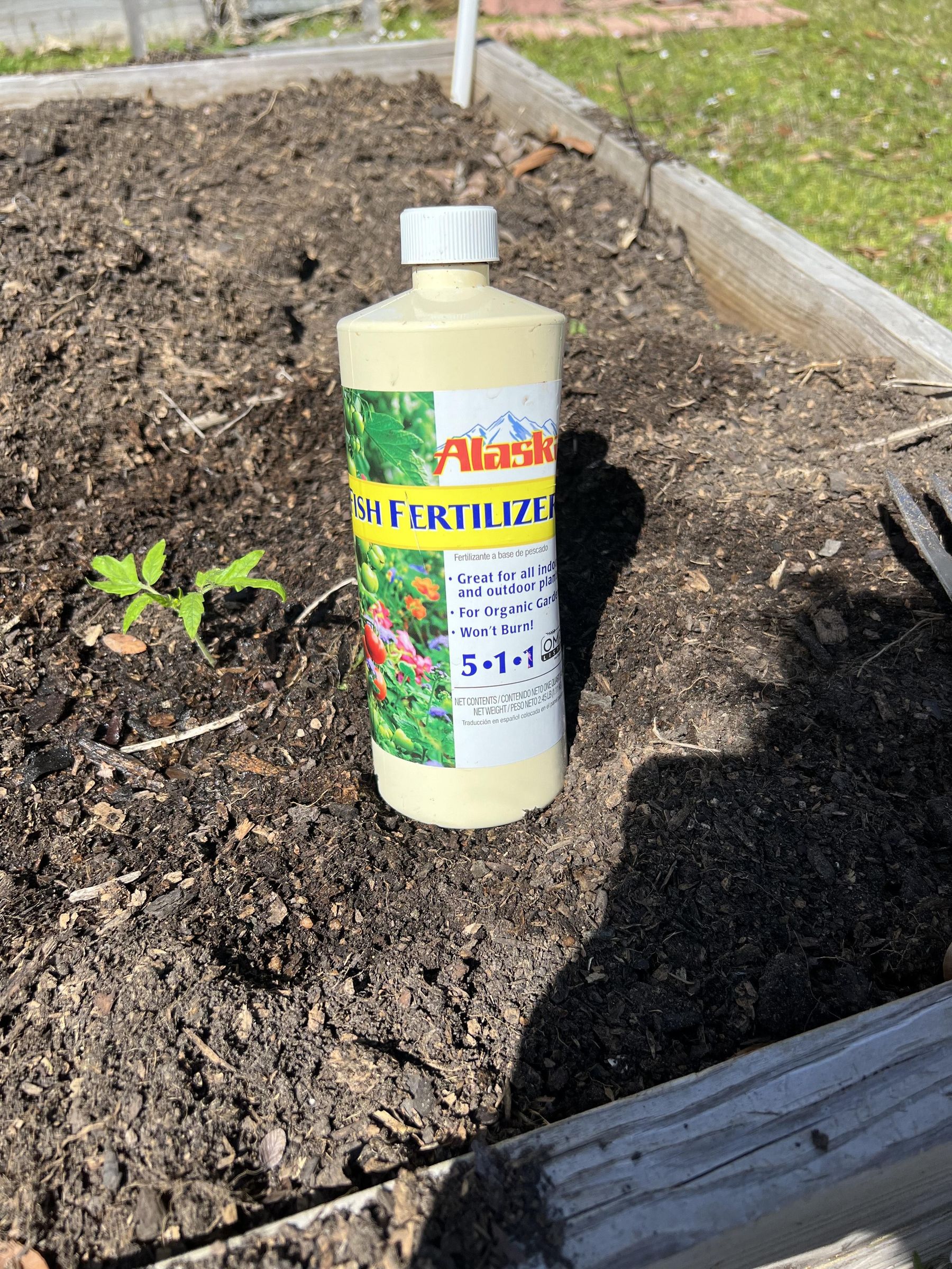 Growing Tomatoes in Arkansas : 12 Steps (with Pictures) - Instructables