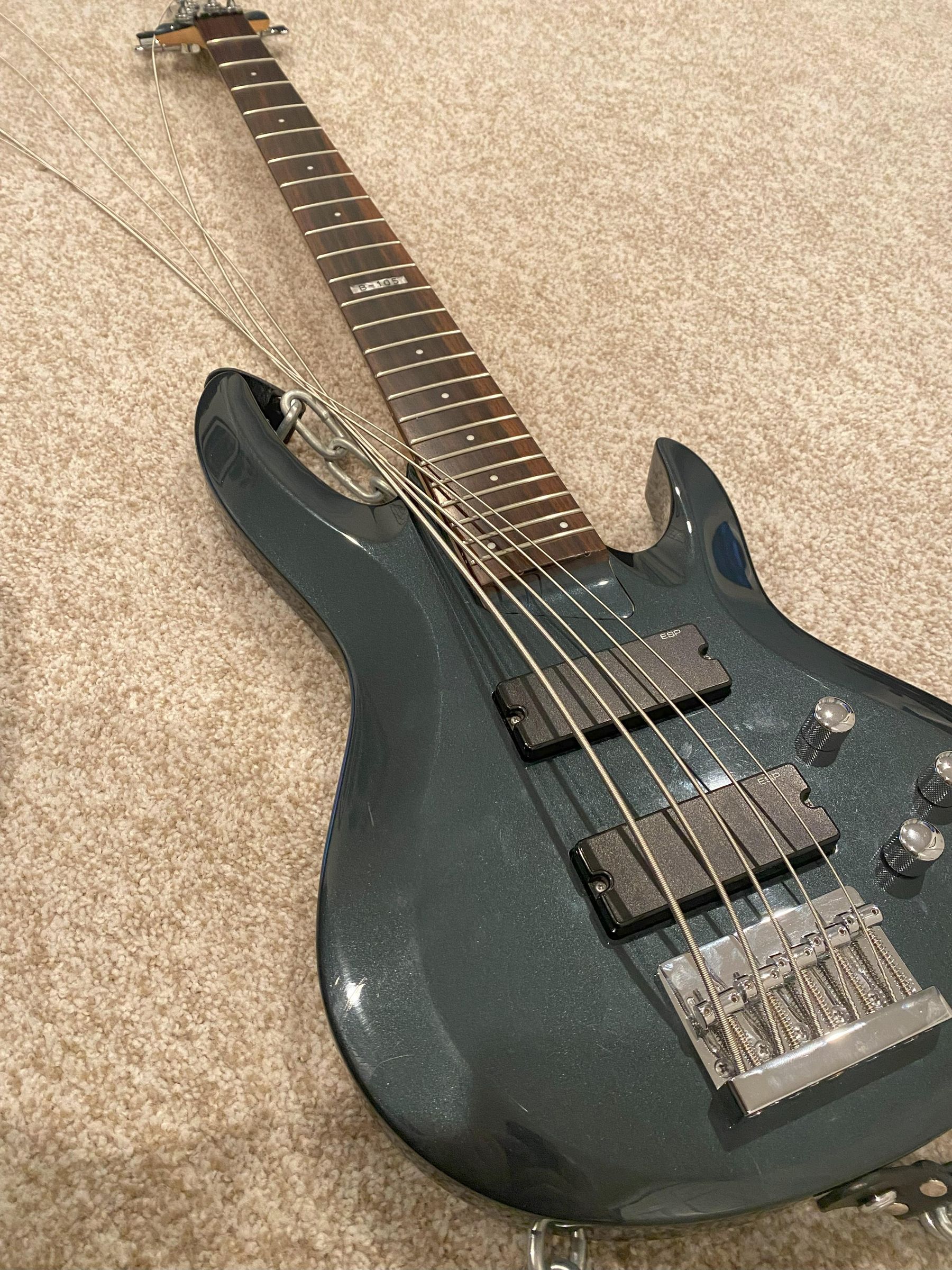 Bass Care 101: the Complete Guide to Basic Bass Care and Maintenance ...