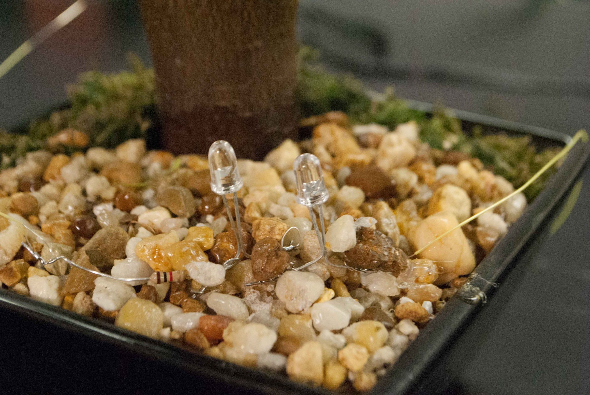 Positivity Plant : 8 Steps (with Pictures) - Instructables