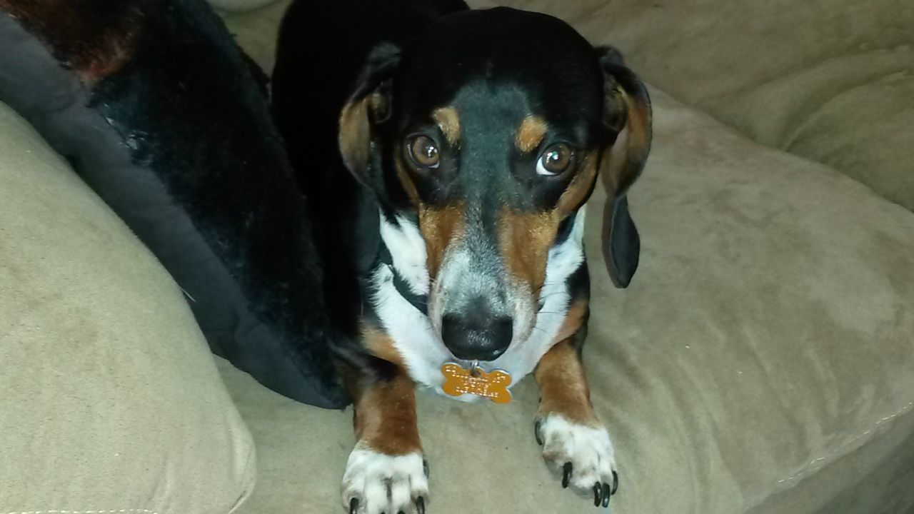 Daugherty's Step-Ramp : 5 Steps (with Pictures) - Instructables