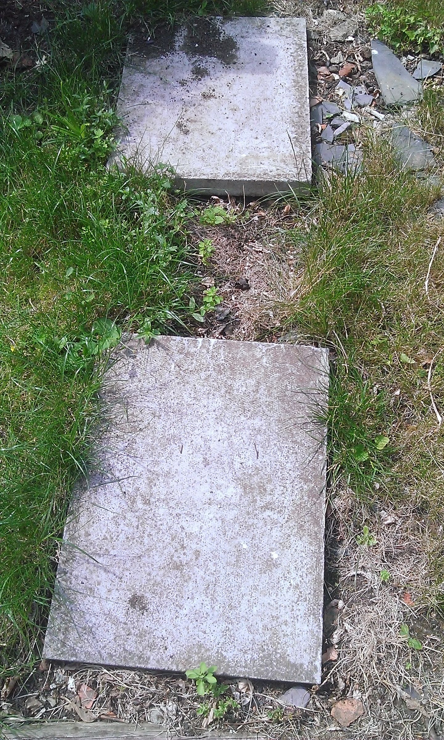 Vegetable Patch : 6 Steps (with Pictures) - Instructables