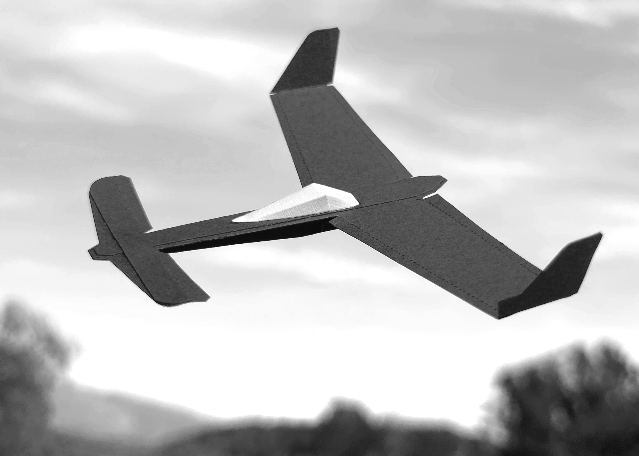 Micro Canard Glider Made of Card Stock : 6 Steps (with Pictures ...
