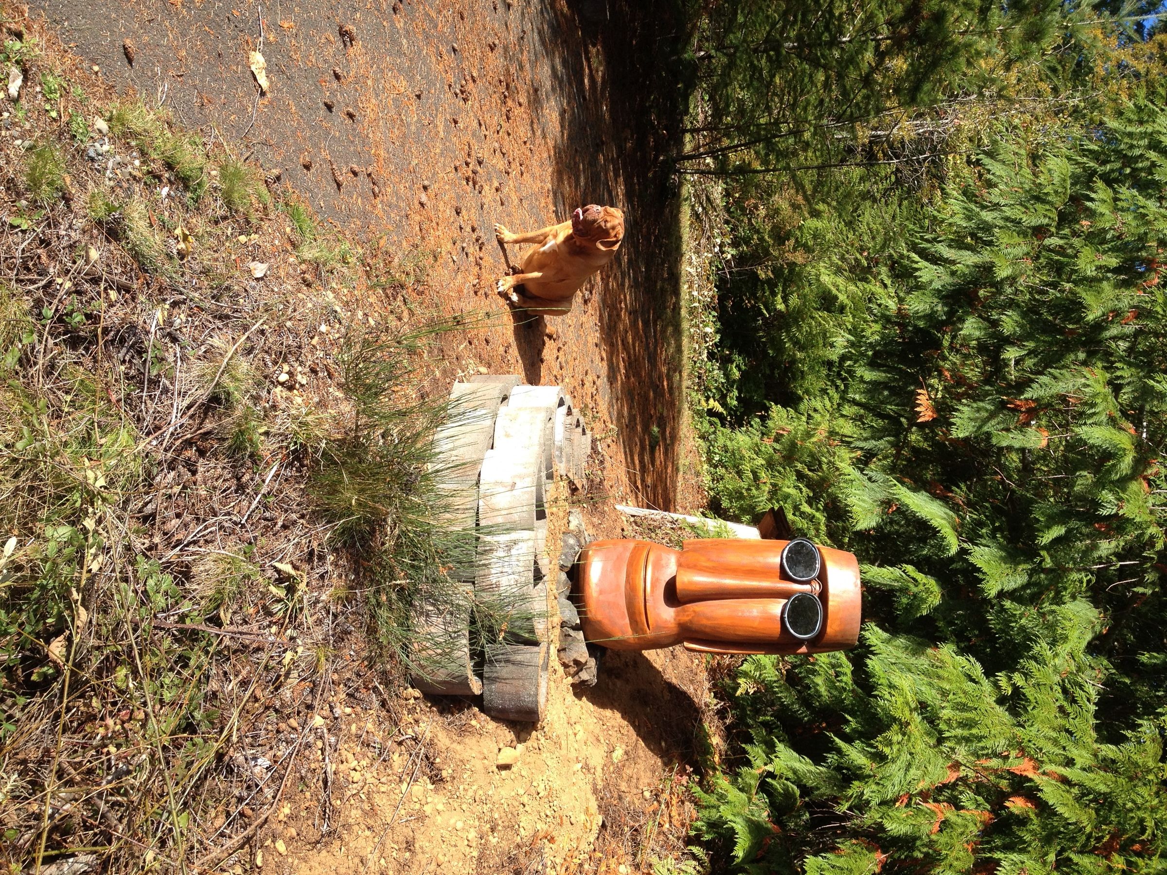 Fire Wood - WOOF !! I Don't Think So : 5 Steps (with Pictures ...