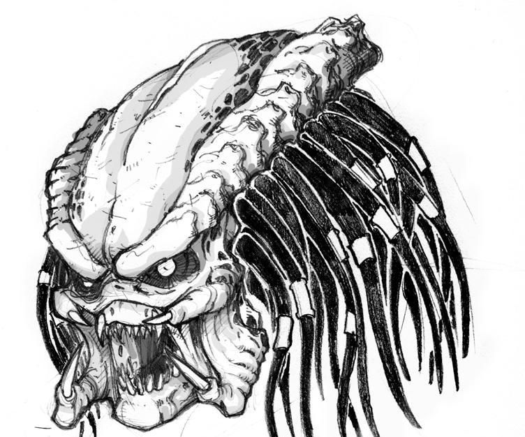 How to Draw a Predator : 12 Steps - Instructables