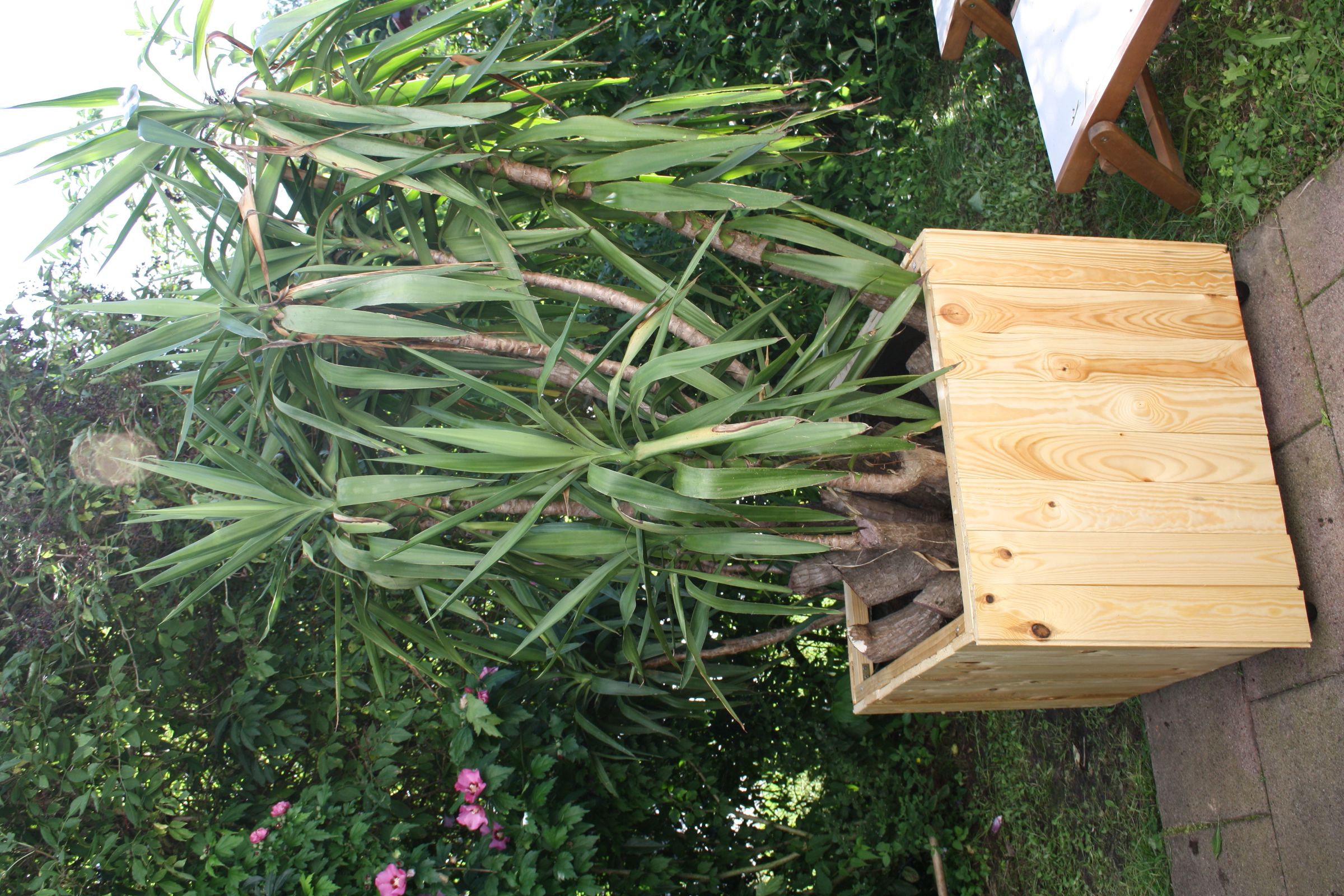 DIY Wood Planter : 13 Steps (with Pictures) - Instructables