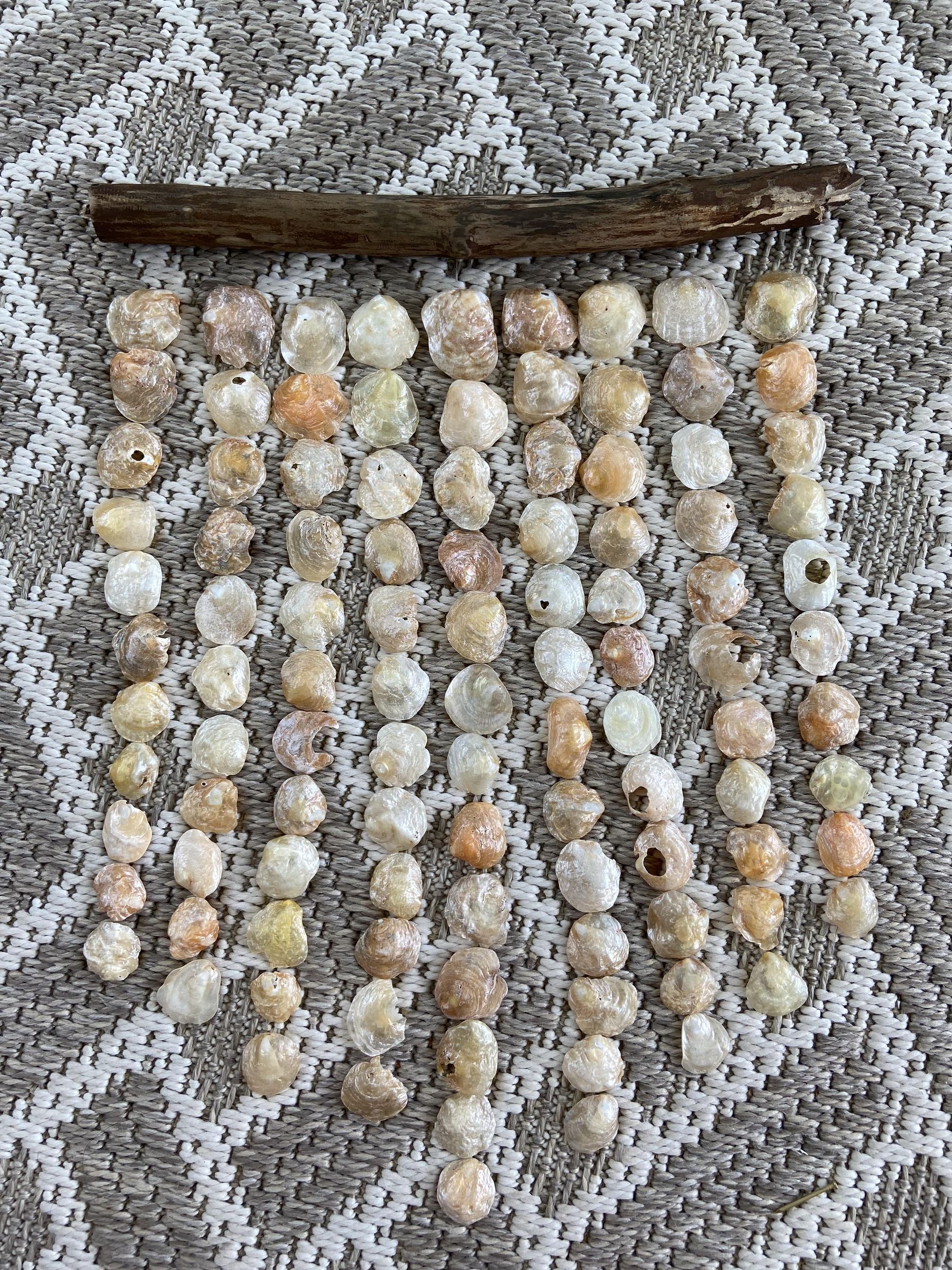 Seashell Wall Hanging : 6 Steps (with Pictures) - Instructables