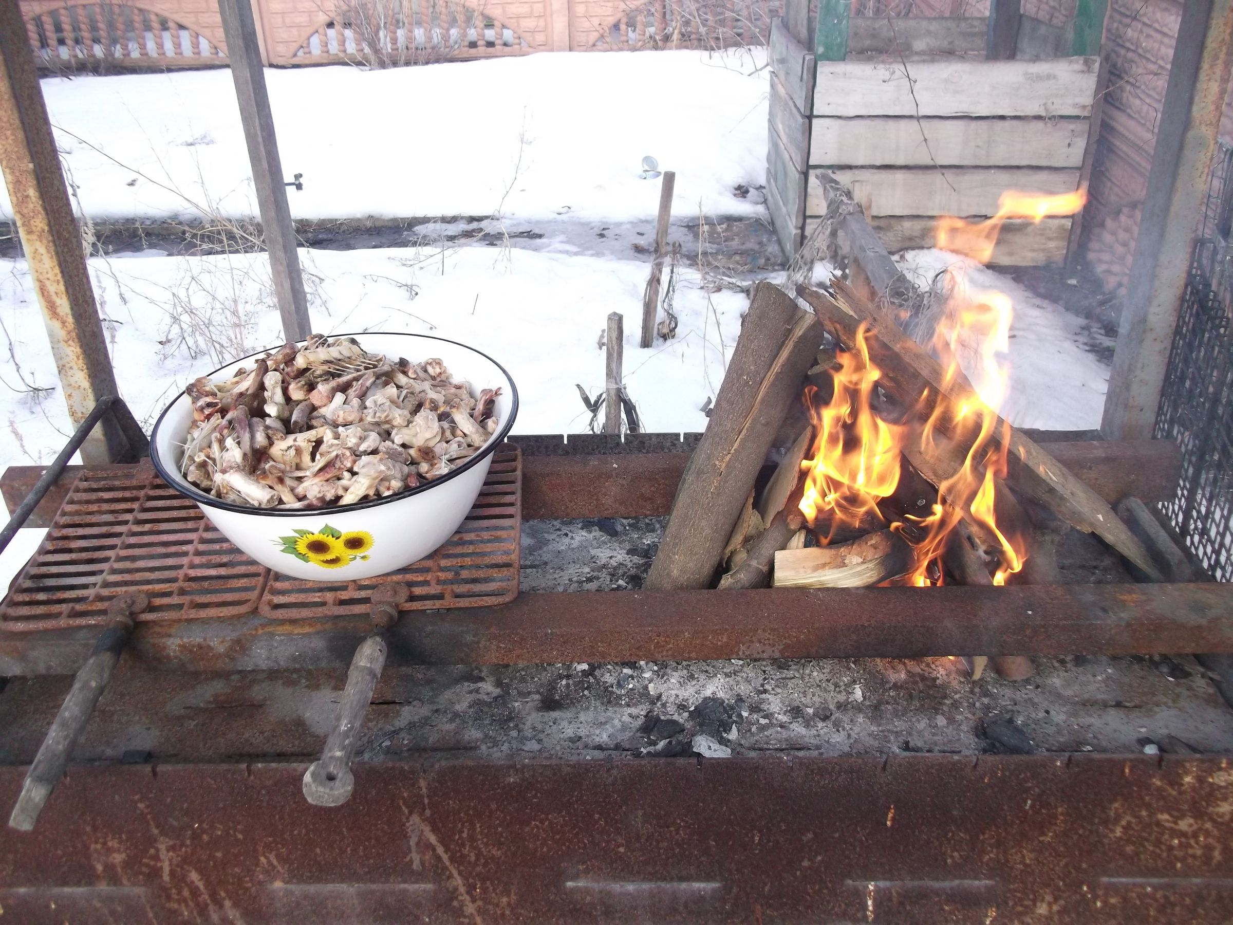 Animal Bones As Fuel and Fertilizer : 6 Steps (with Pictures ...