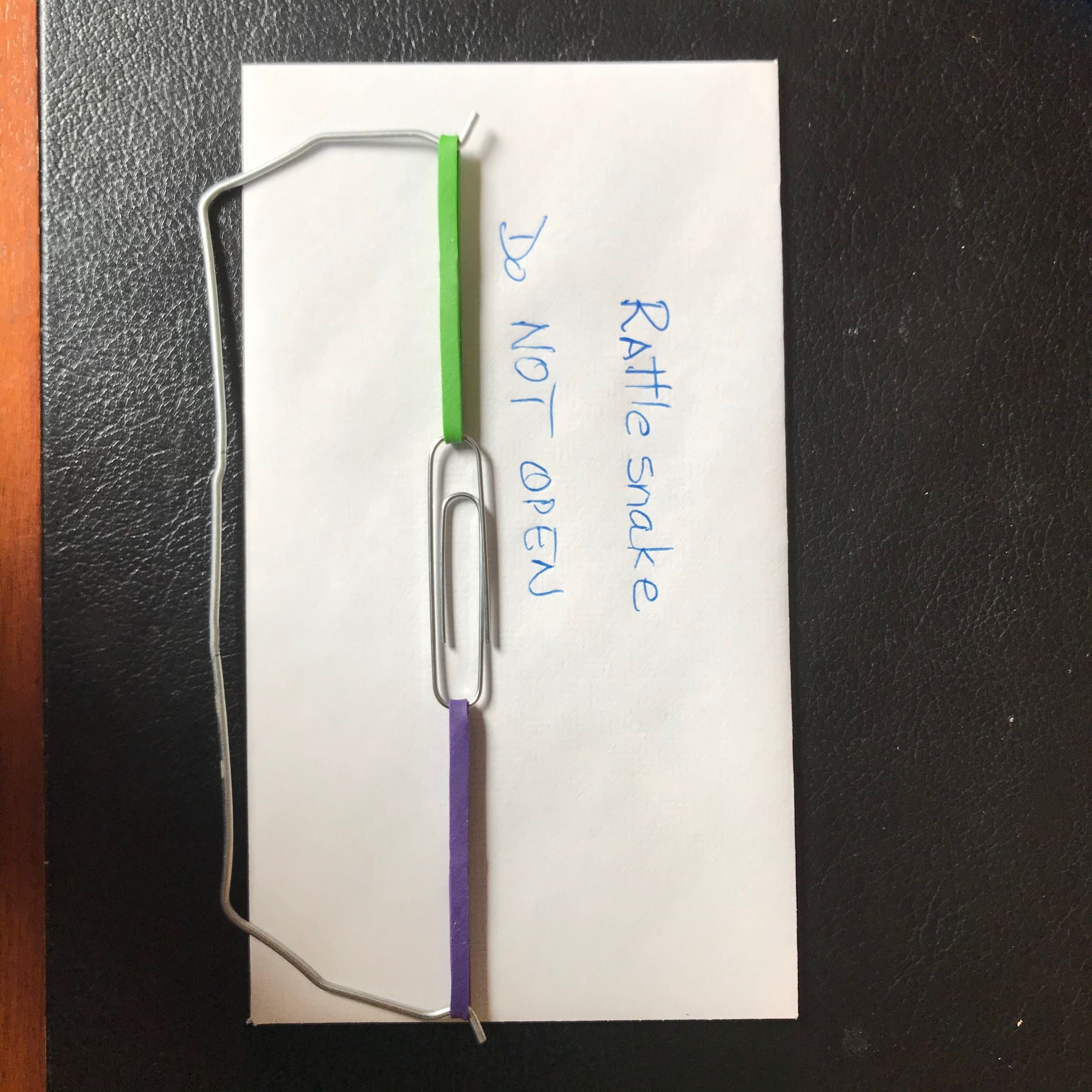 Rattlesnake in an Envelope - Instructables