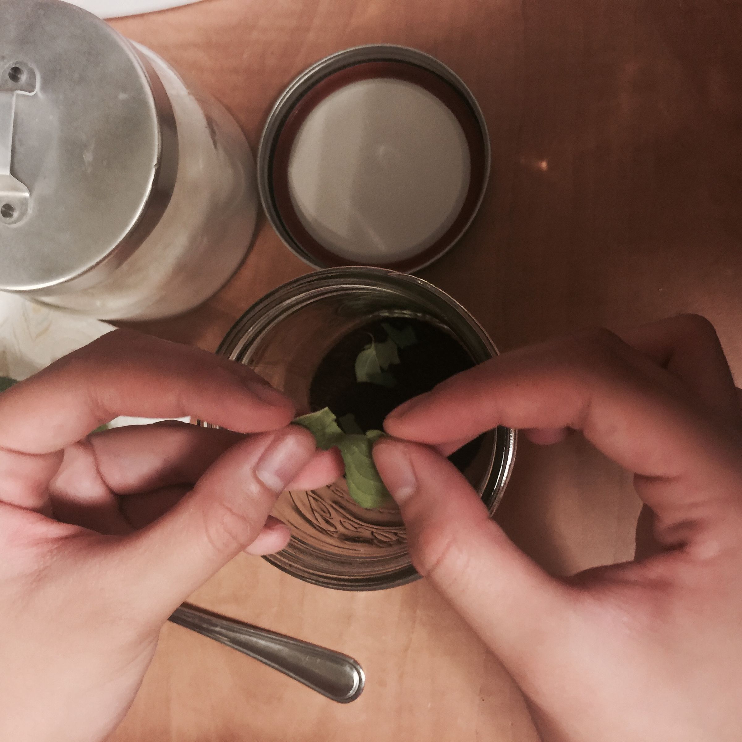 Minty Cold Brew Coffee : 6 Steps - Instructables