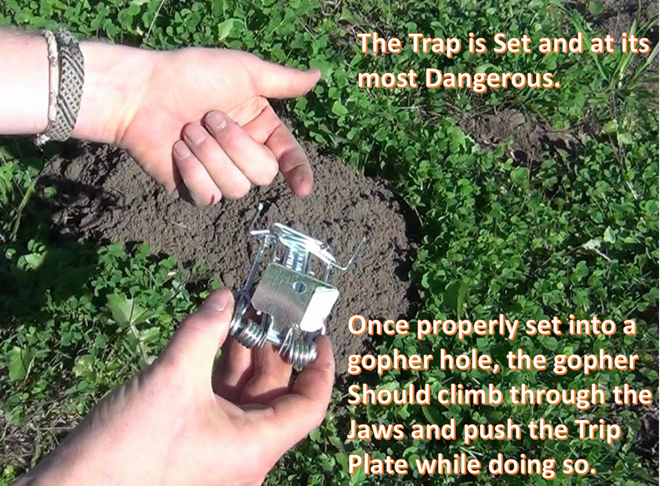 How to Trap Gophers : 7 Steps - Instructables