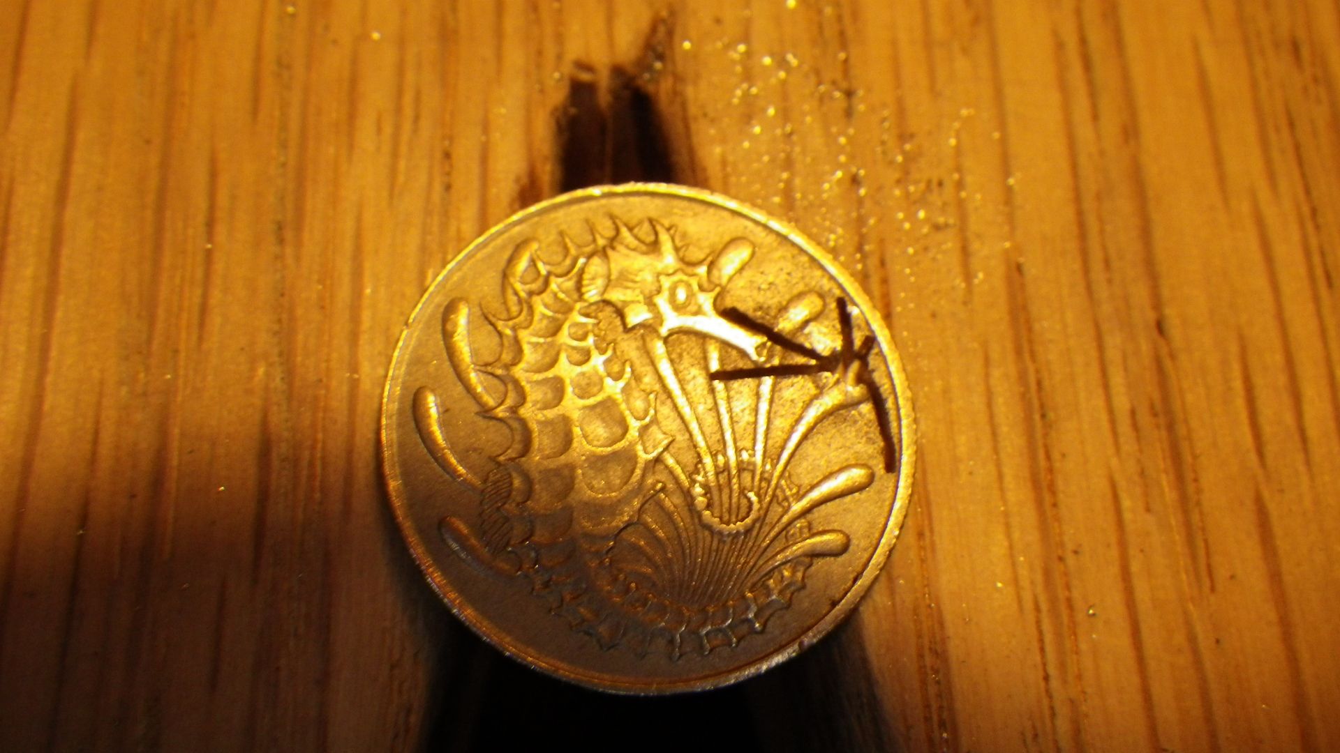 Seahorse Coin Cutting Pendant : 5 Steps (with Pictures) - Instructables
