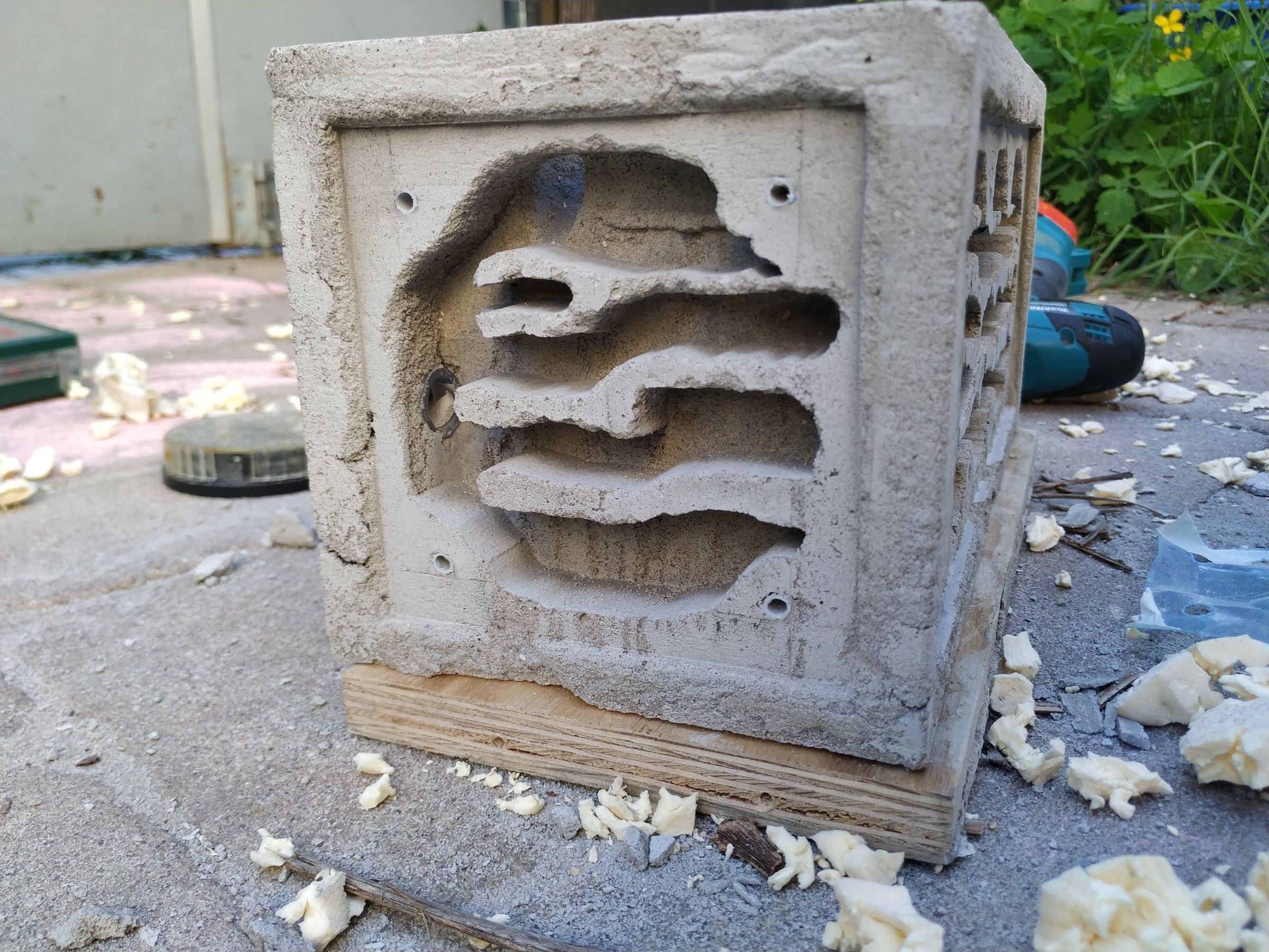 Concrete Ants Nest : 4 Steps (with Pictures) - Instructables