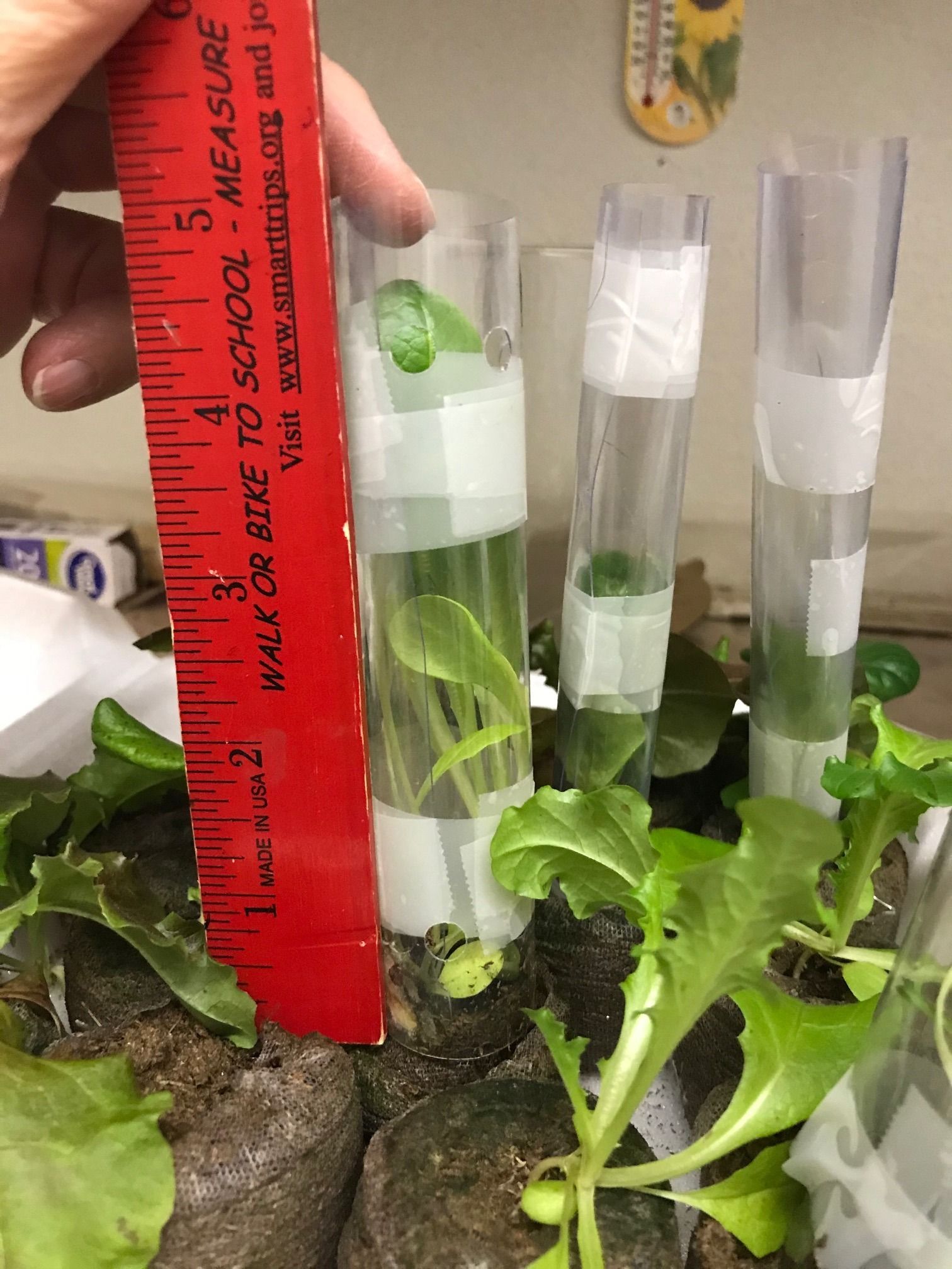 Tube Garden : 3 Steps - Instructables