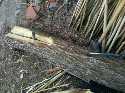 Splitting Black Locust Logs With Wedges : 7 Steps (with Pictures ...