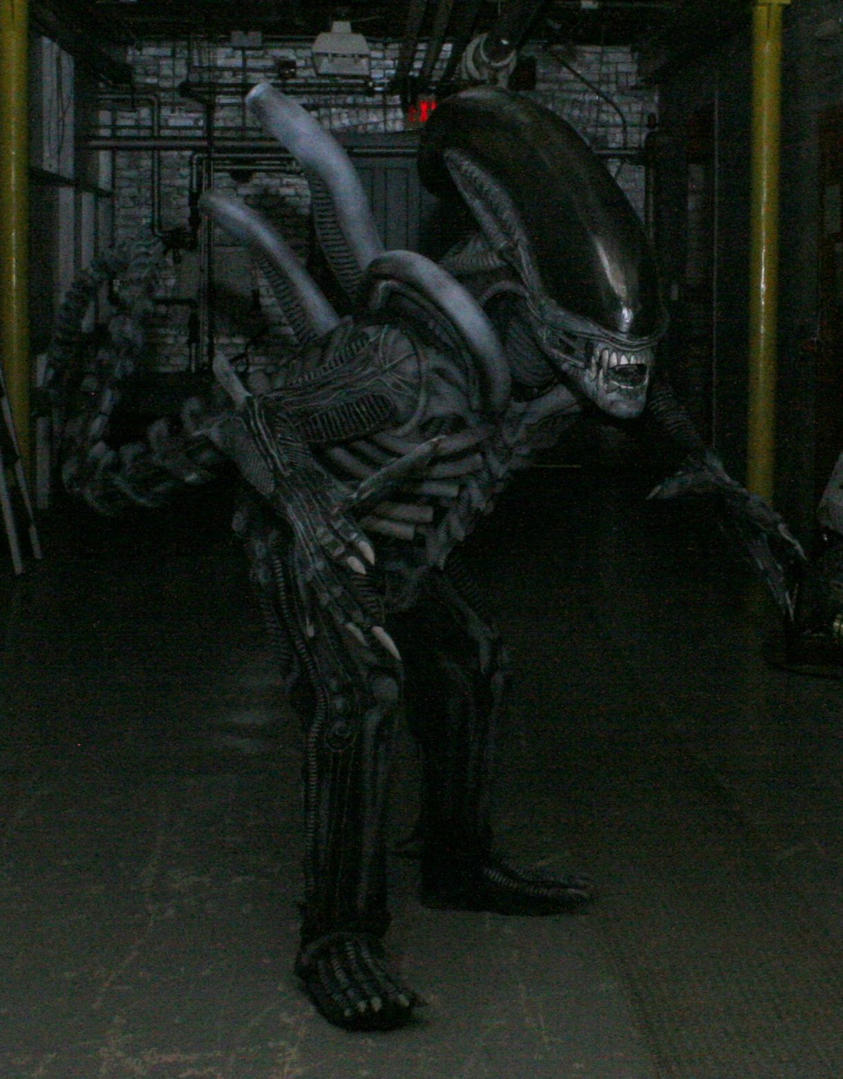 Alien Xenomorph Costume : 17 Steps (with Pictures) - Instructables