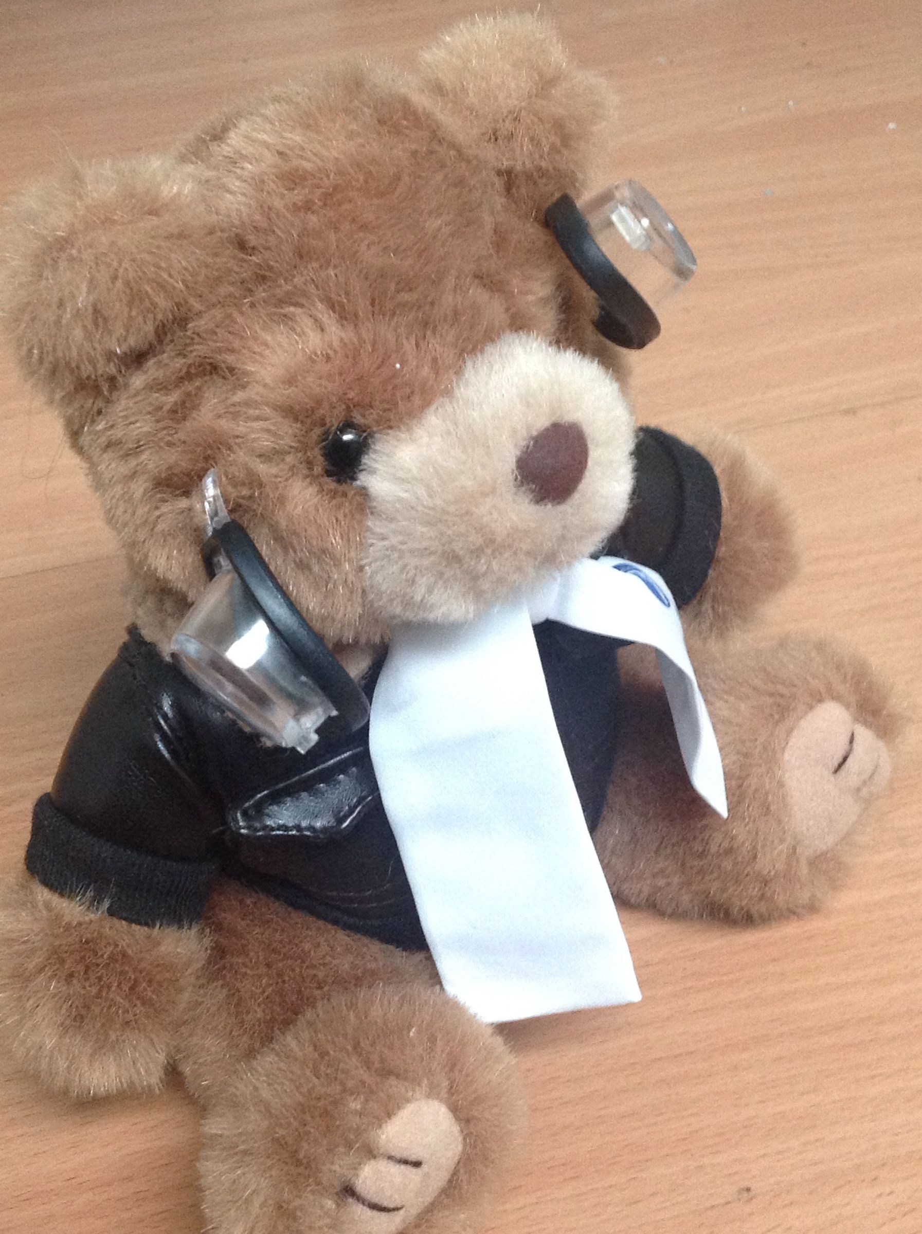Teddy Bear Repair : 5 Steps - Instructables