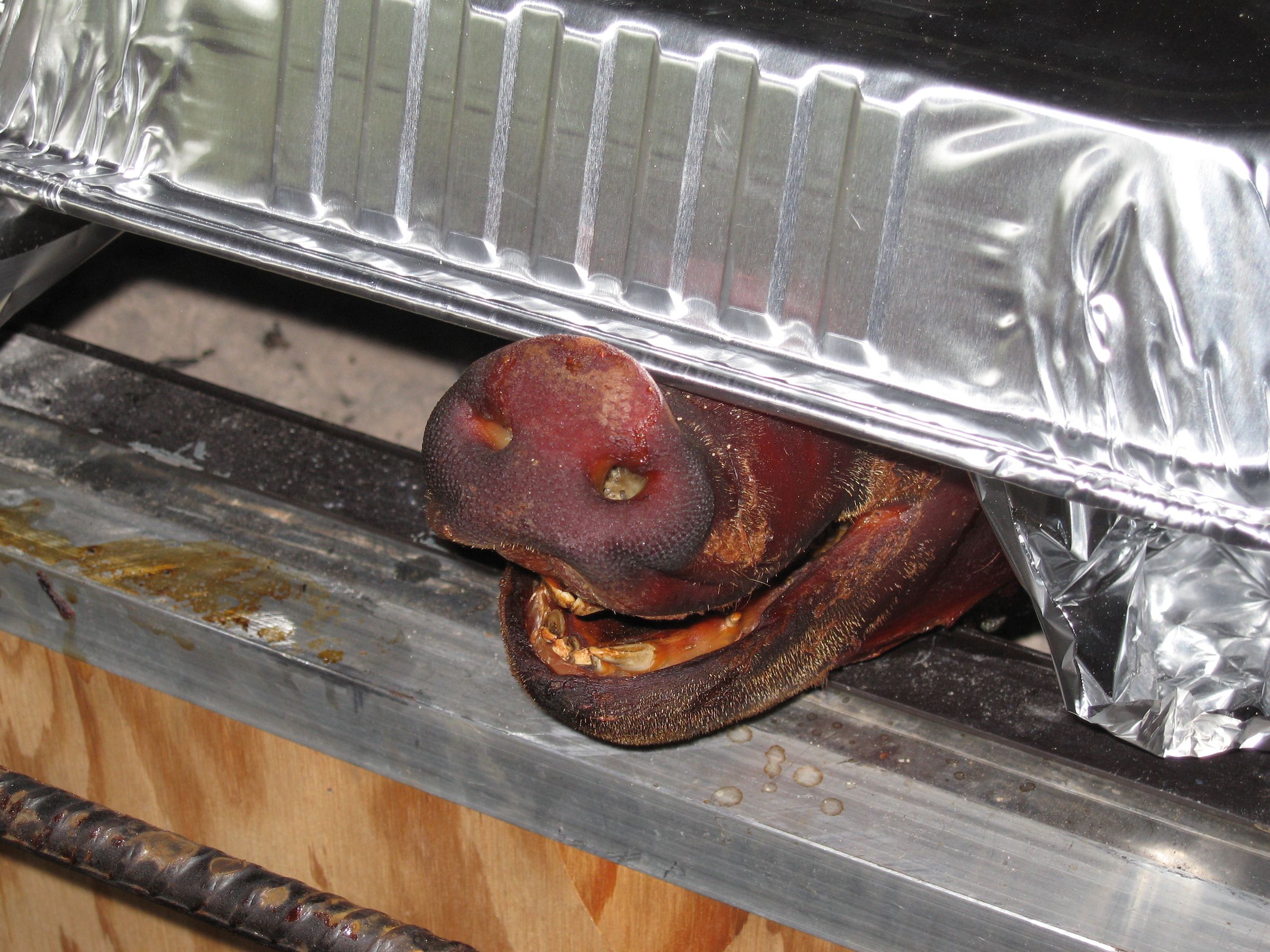 How to Roast a Whole Pig : 10 Steps (with Pictures) - Instructables