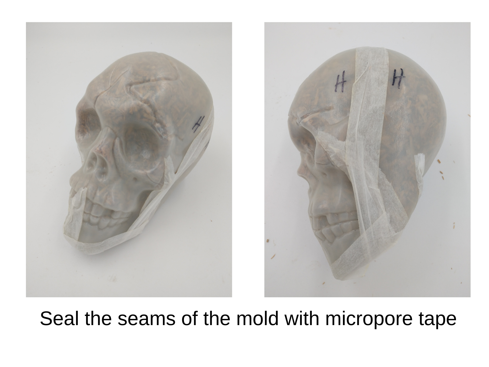 Mycelium Skulls for Día De Los Muertos / Day of the Dead : 11 Steps (with Pictures) - Instructables